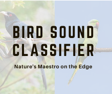 Bird Sound Classifier on the Edge Using Arduino Nano33 BLE Sense : 13 Steps - Instructables