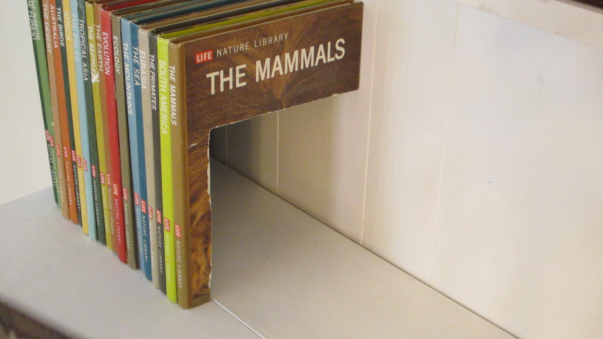 Multi-Book Secret Storage Compartment : 6 Steps (with Pictures ...