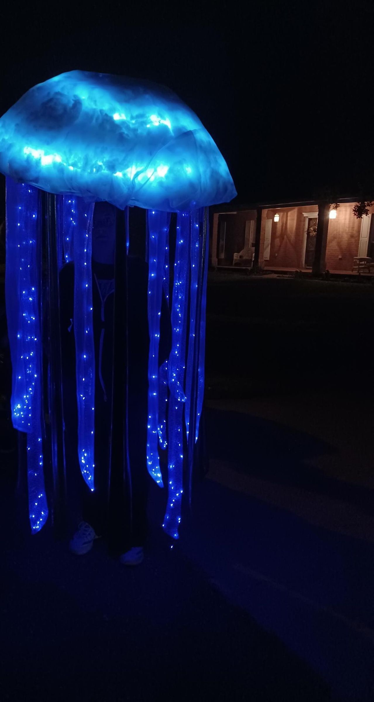 Jelly Fish Costume : 4 Steps (with Pictures) - Instructables