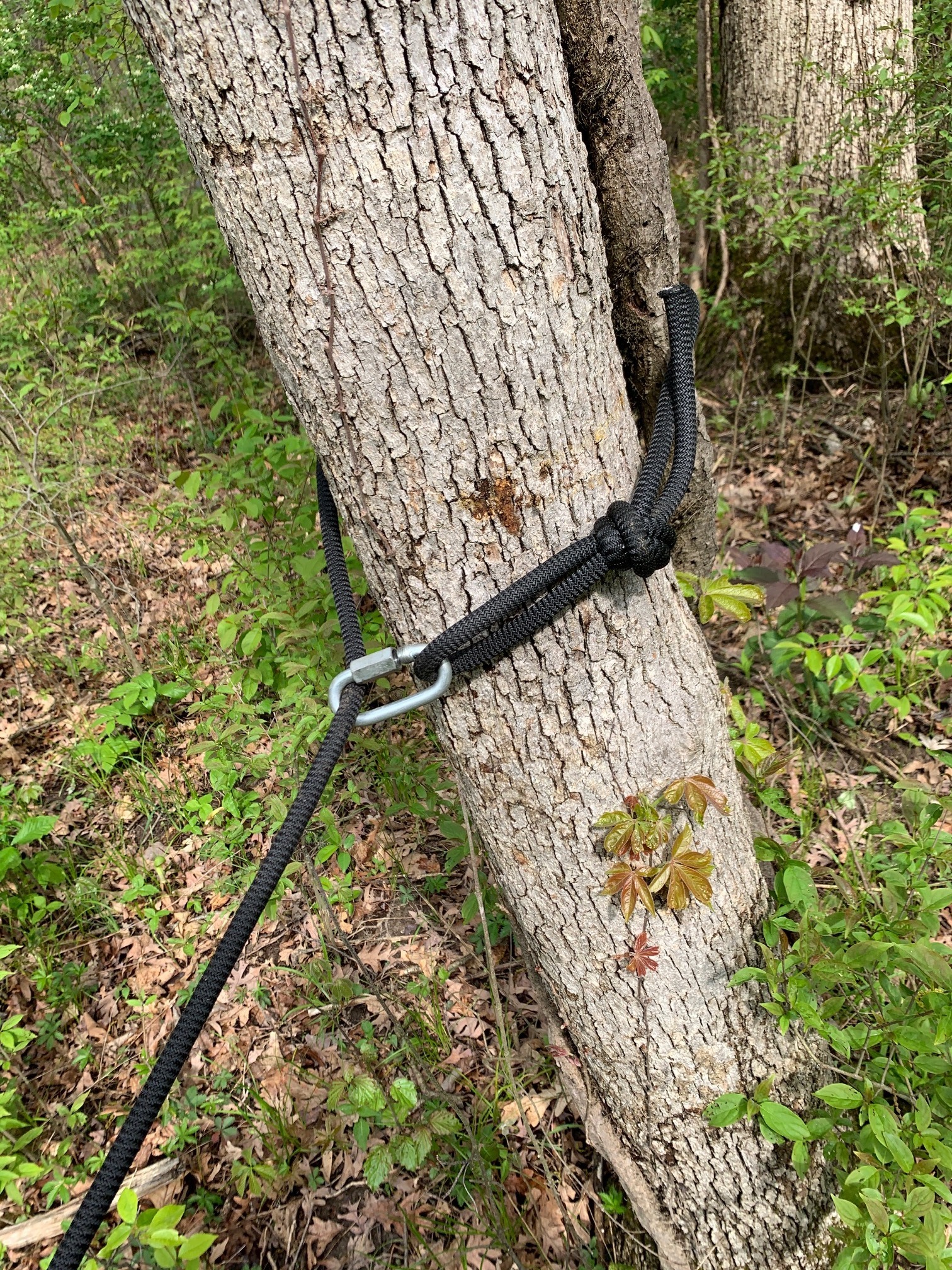 Extreme Backyard Zipline : 6 Steps (with Pictures) - Instructables