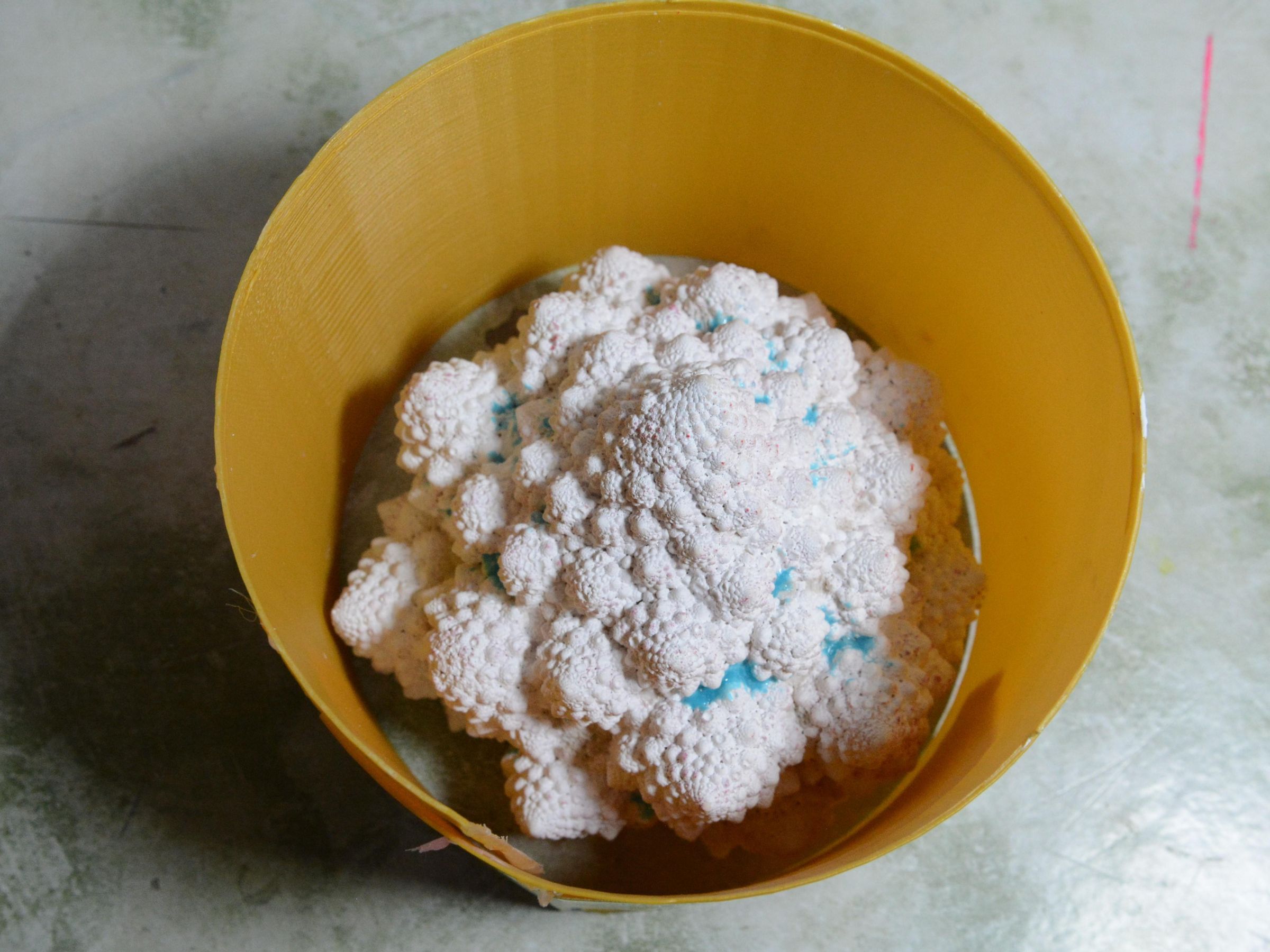 Turn Romanesco Broccoli Into a Candle : 17 Steps (with Pictures ...