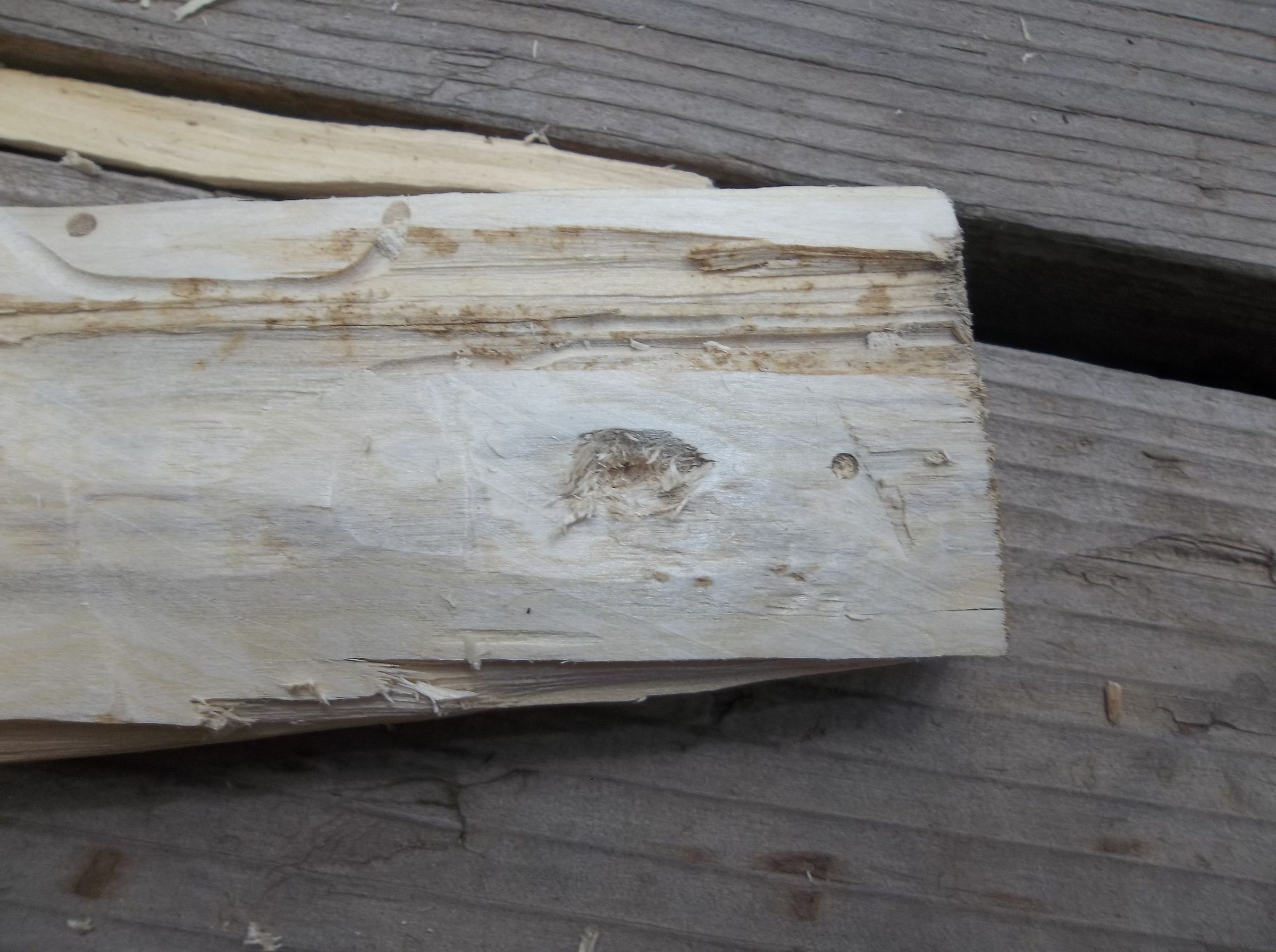 Primitive Fire Starting: the Bow Drill : 9 Steps (with Pictures ...