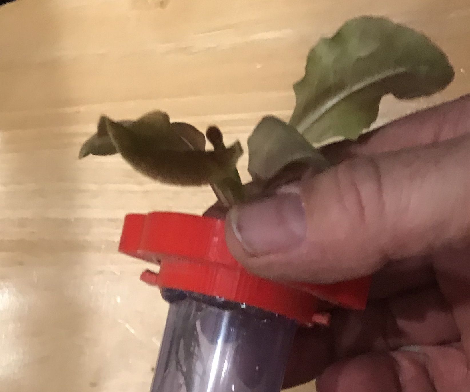 Fogponics/Aeroponics in Microgravity : 6 Steps (with Pictures ...