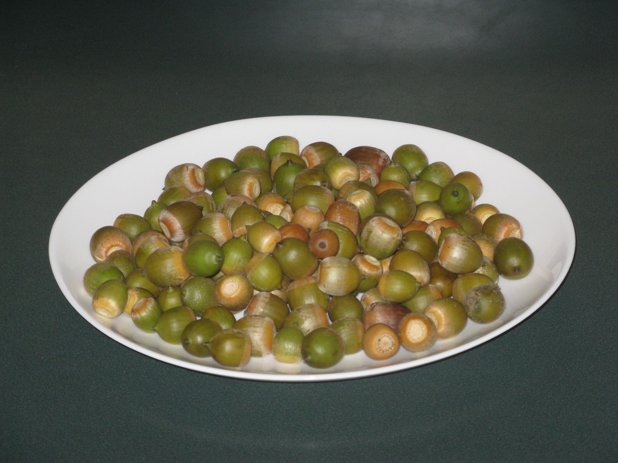 Three Essential Groups of Wild Edible Plants : 19 Steps (with Pictures ...