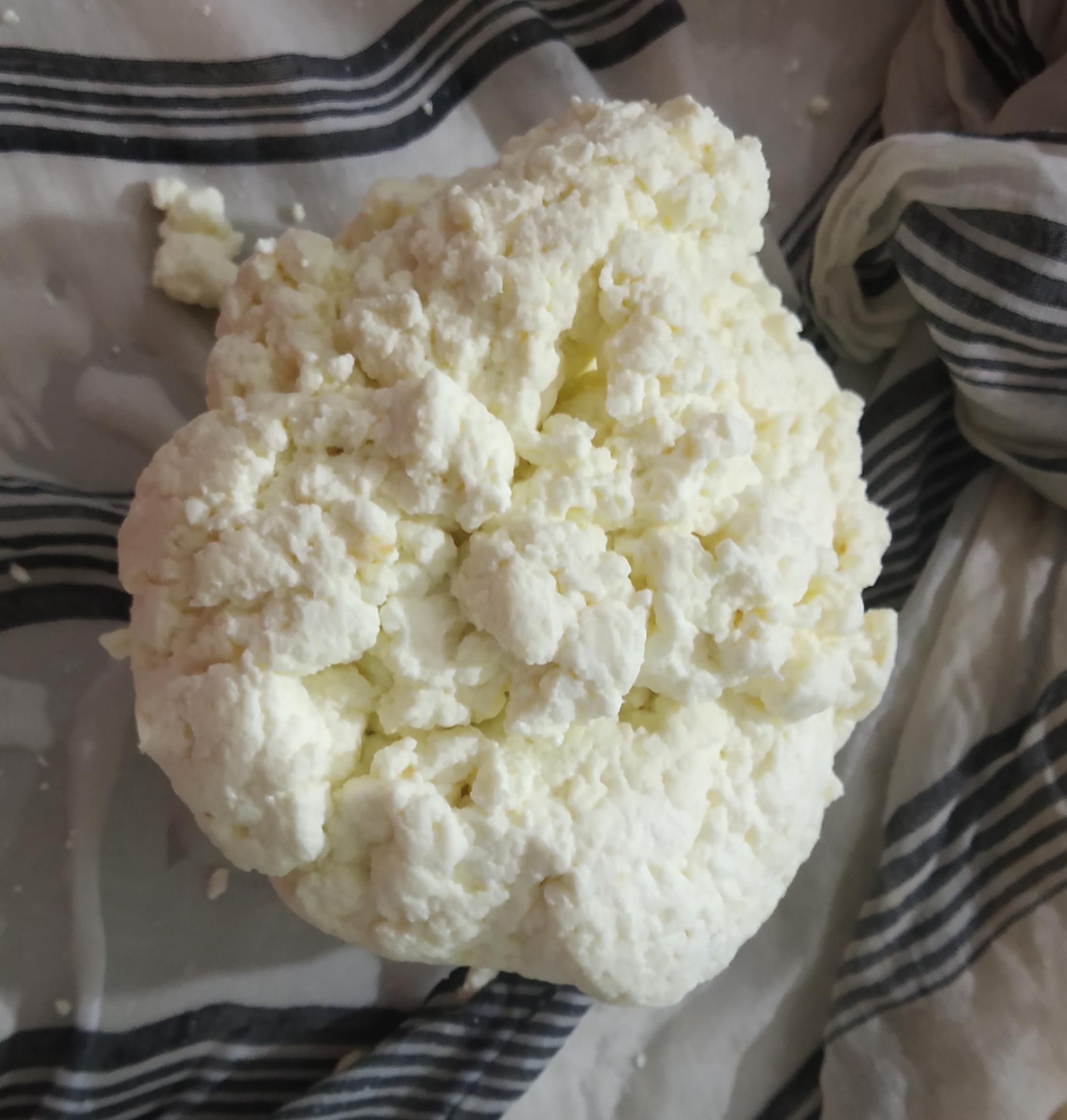 Chanar Sandesh-Indian Cottage Cheese Sweet Meat : 5 Steps - Instructables