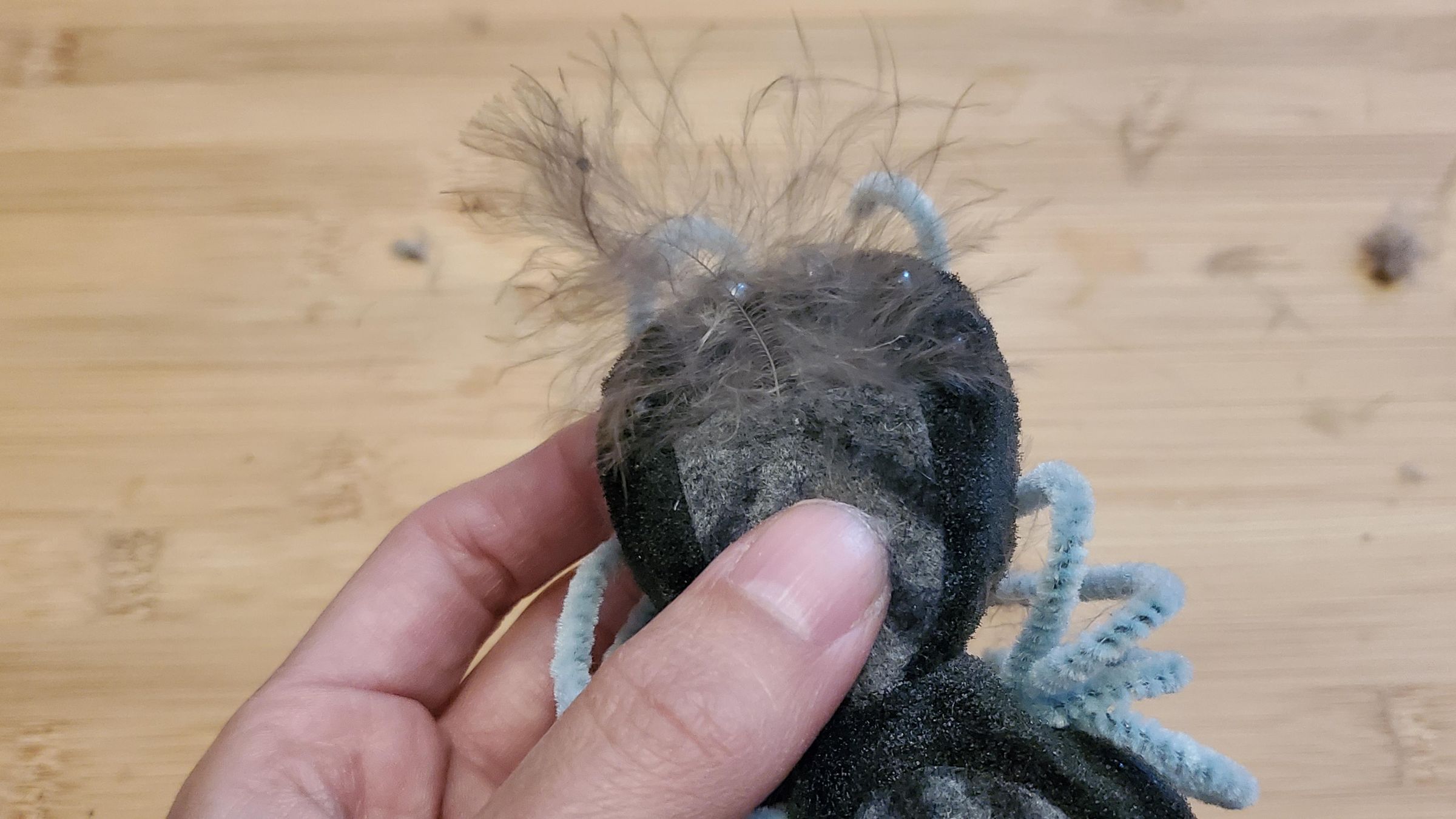 Jumping Spider : 9 Steps (with Pictures) - Instructables