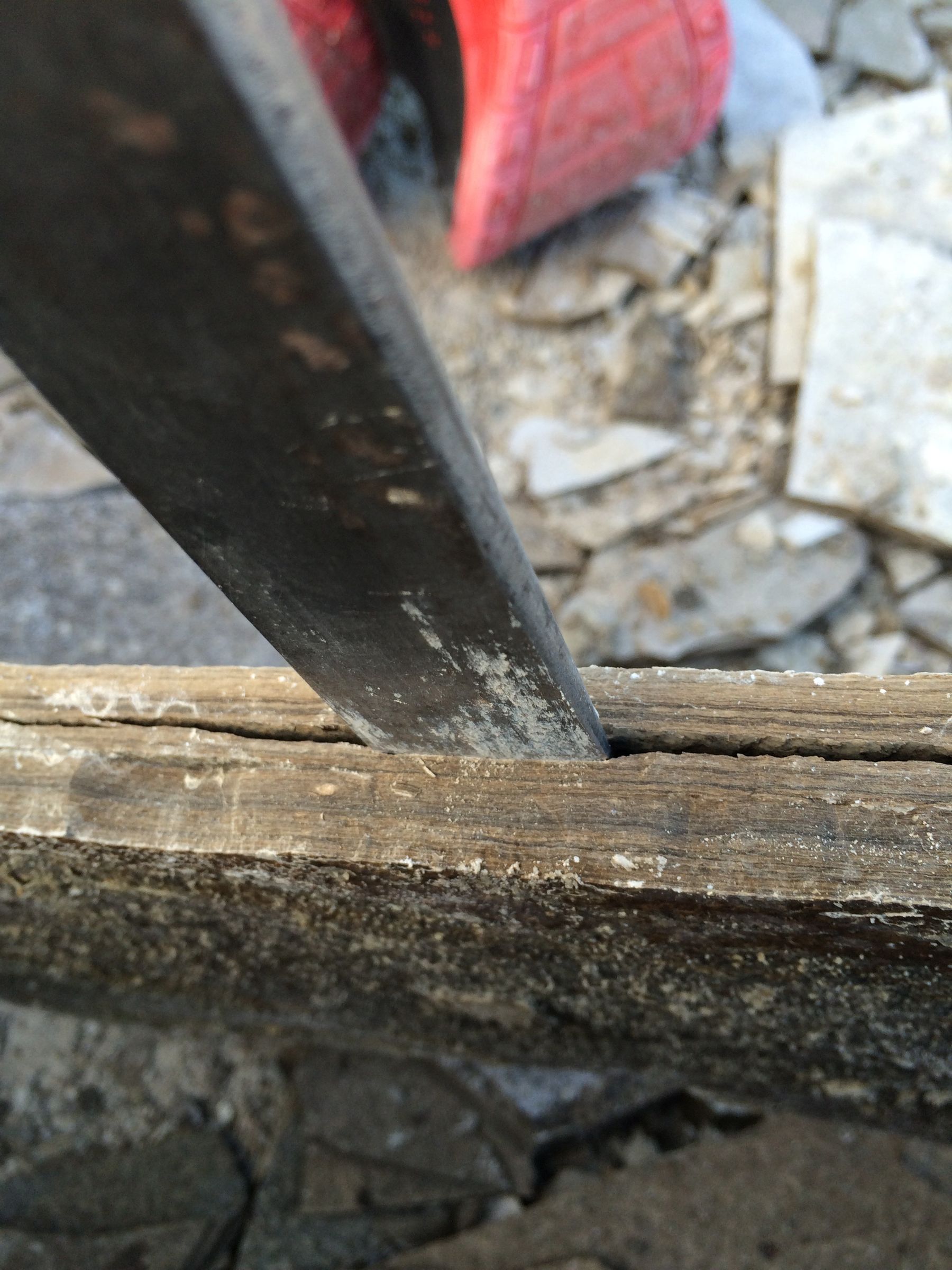 Split Limestone to Find Fossils!! : 4 Steps (with Pictures) - Instructables