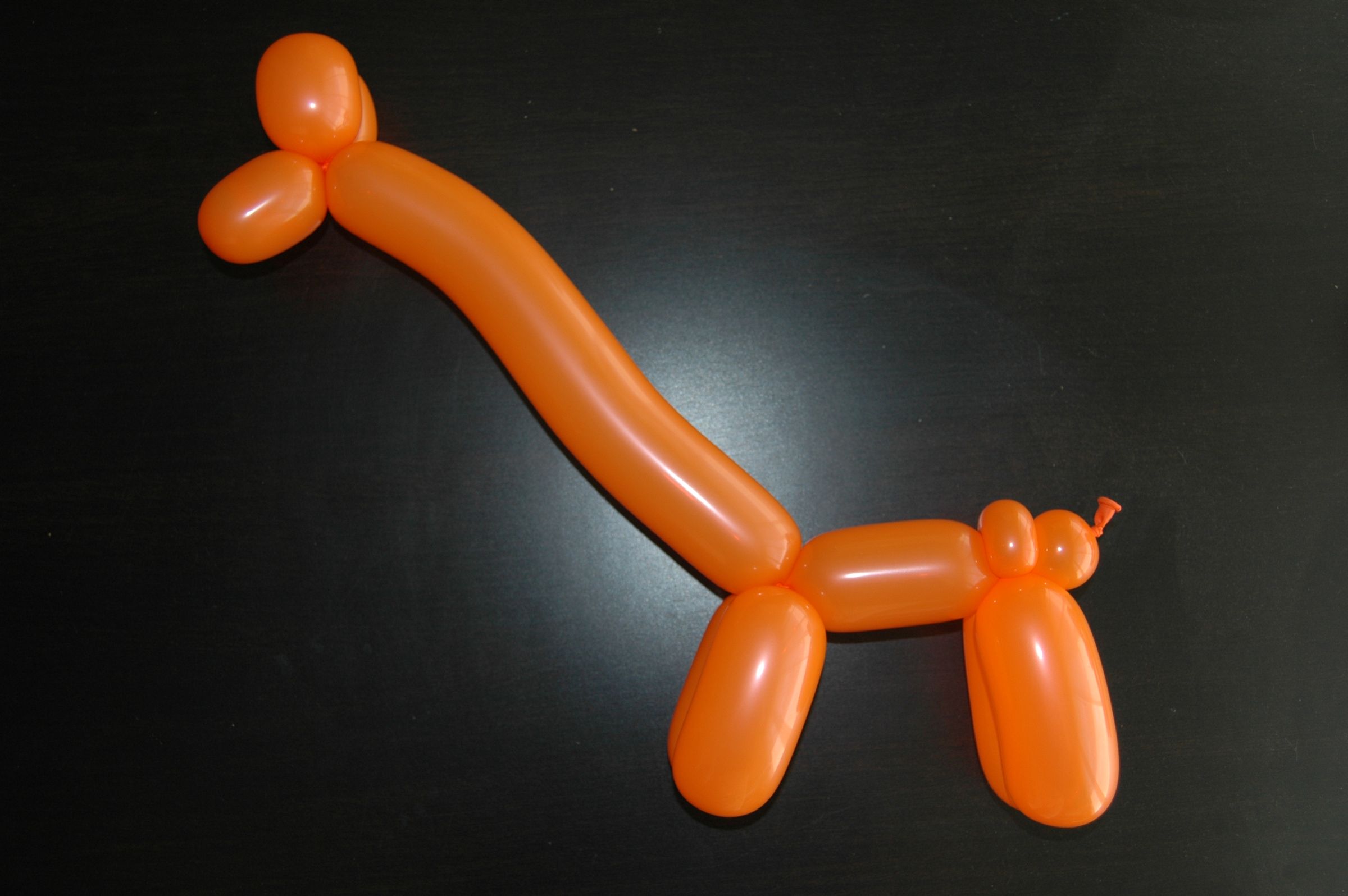How to Balloon Twist : 19 Steps (with Pictures) - Instructables