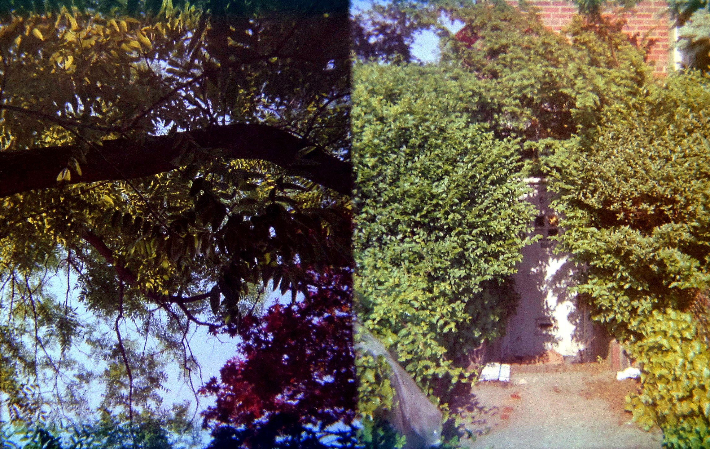 35mm Camera Half Frame Conversion. Updated With Photos. : 5 Steps (with ...