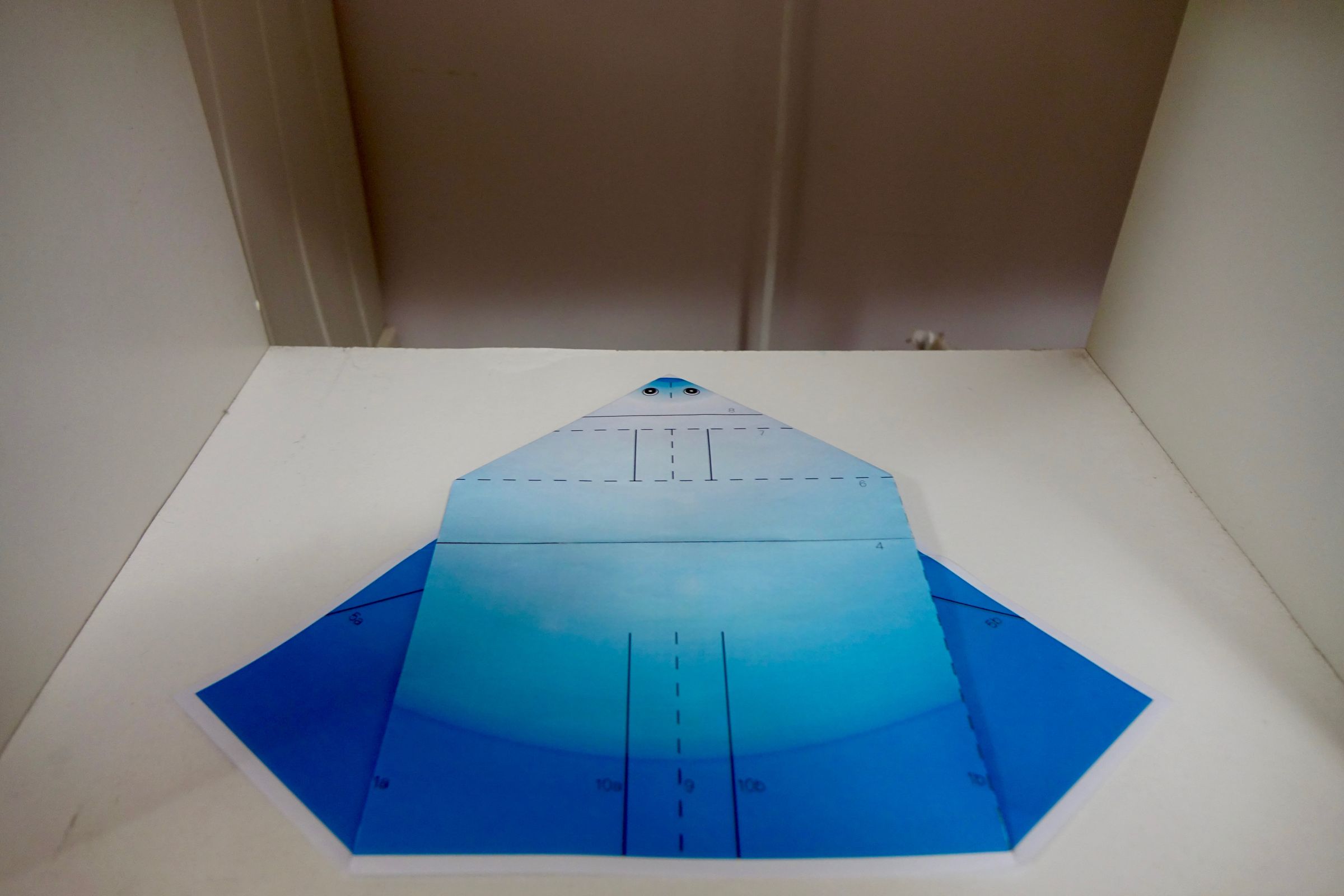 Flapping Paper Plane (Print Version) : 15 Steps (with Pictures ...