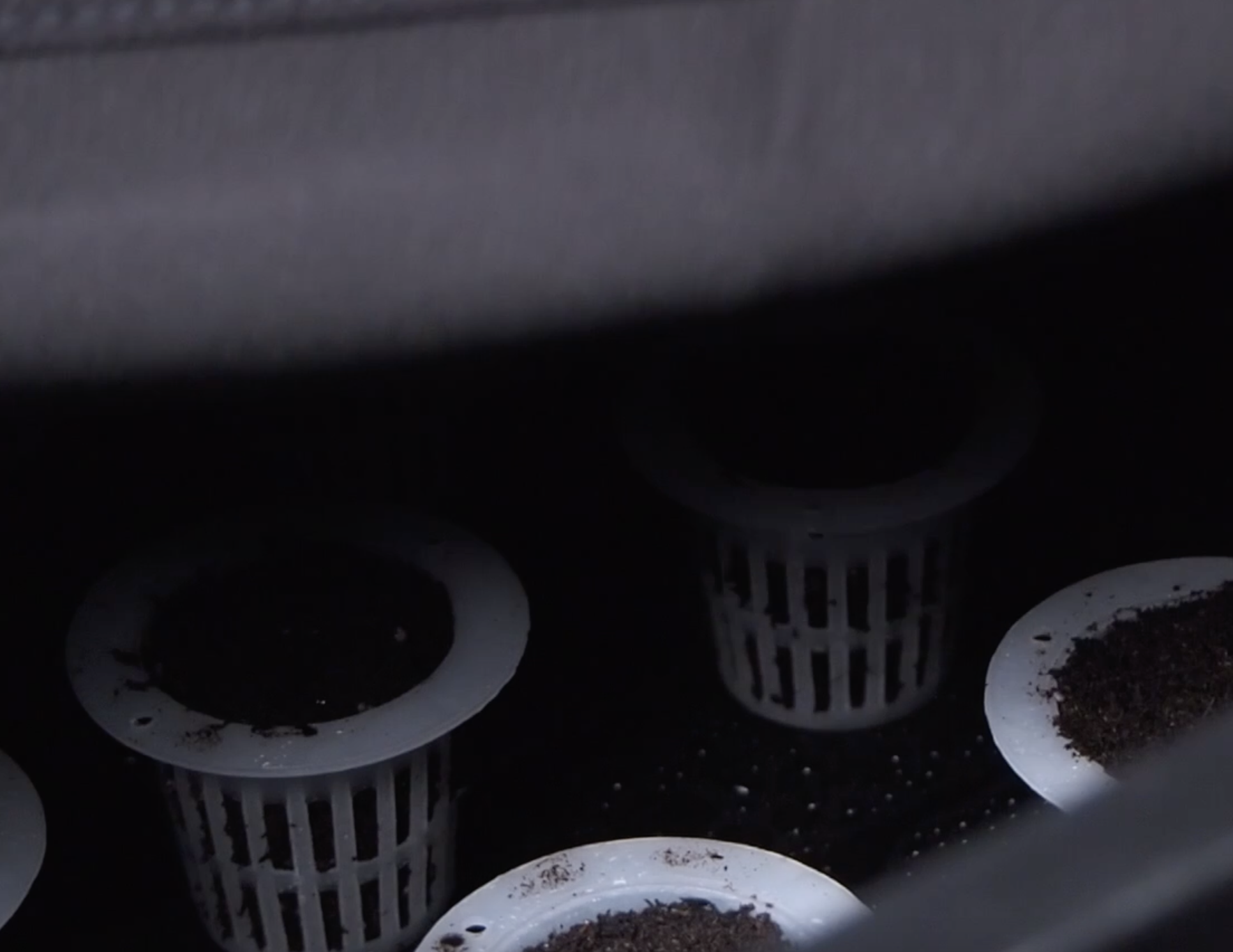 Make Your Hydroponics System Fully Automated and View Data Via the ...
