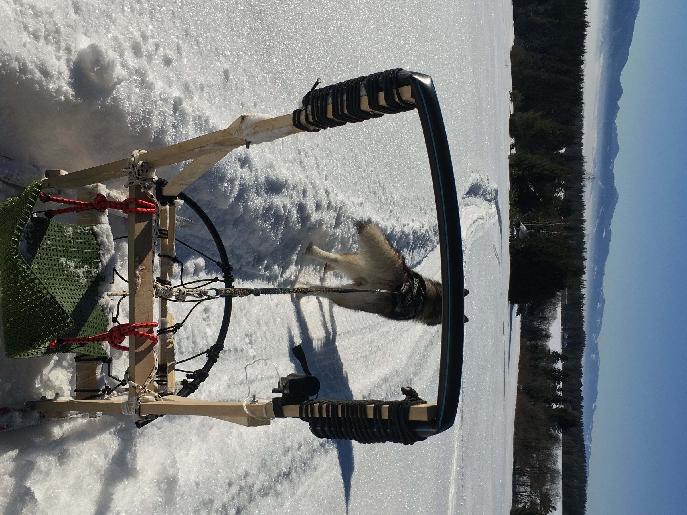 Homemade Dogsled (kicksled) : 8 Steps (with Pictures) - Instructables