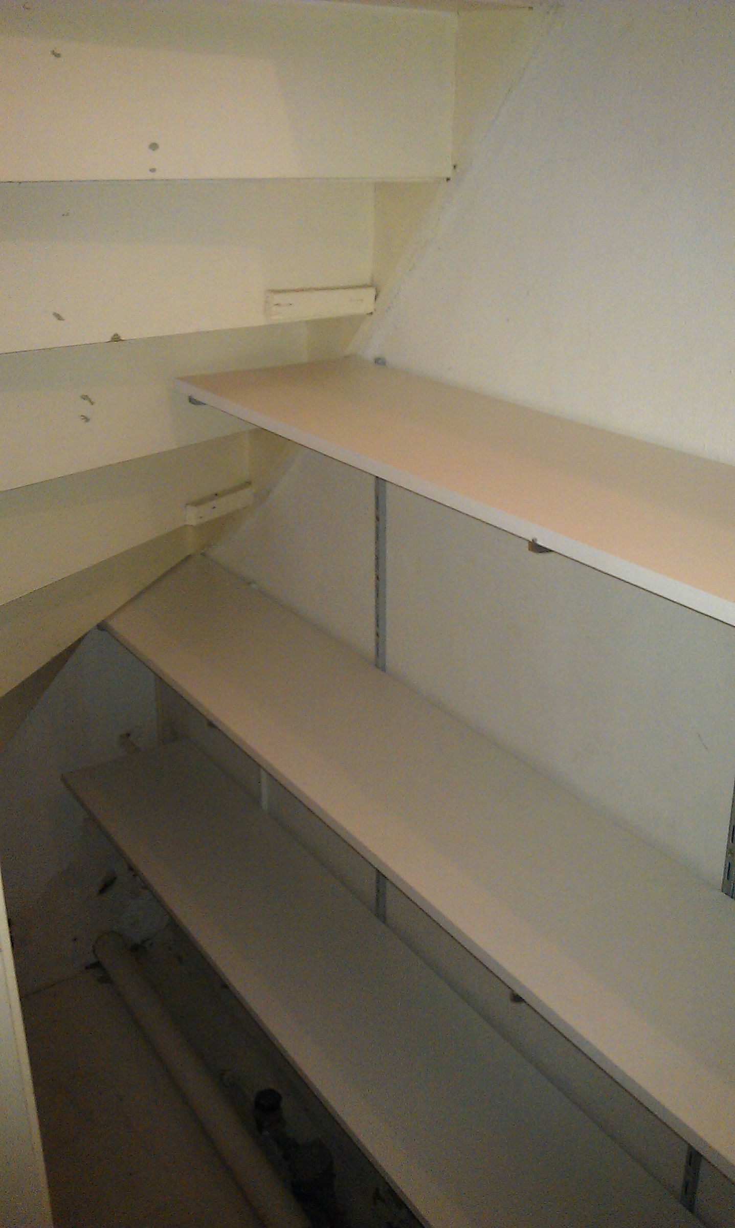Hoarding Made Easy or Organizing With Shelves : 7 Steps - Instructables