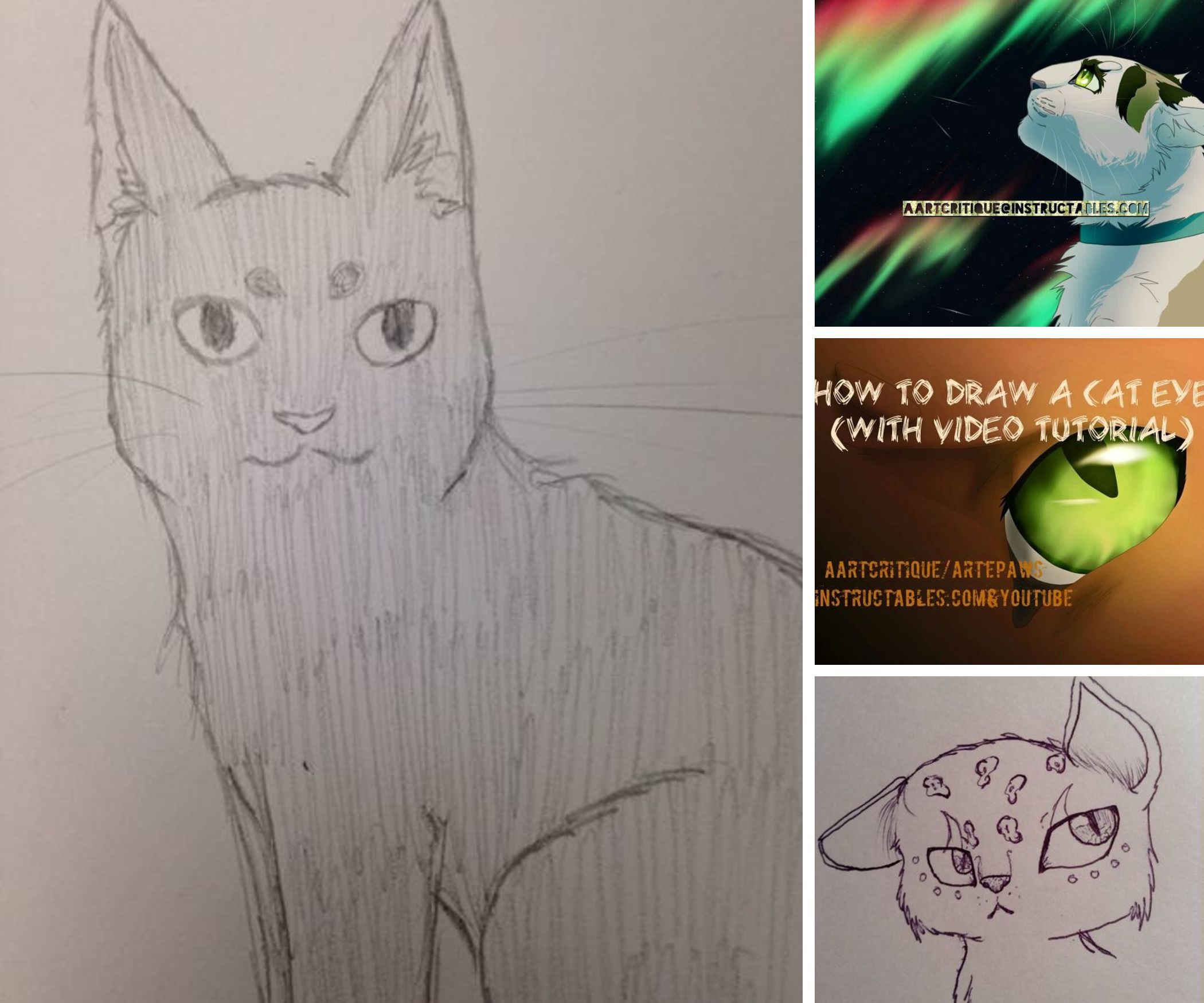 How to Draw Cats - Instructables