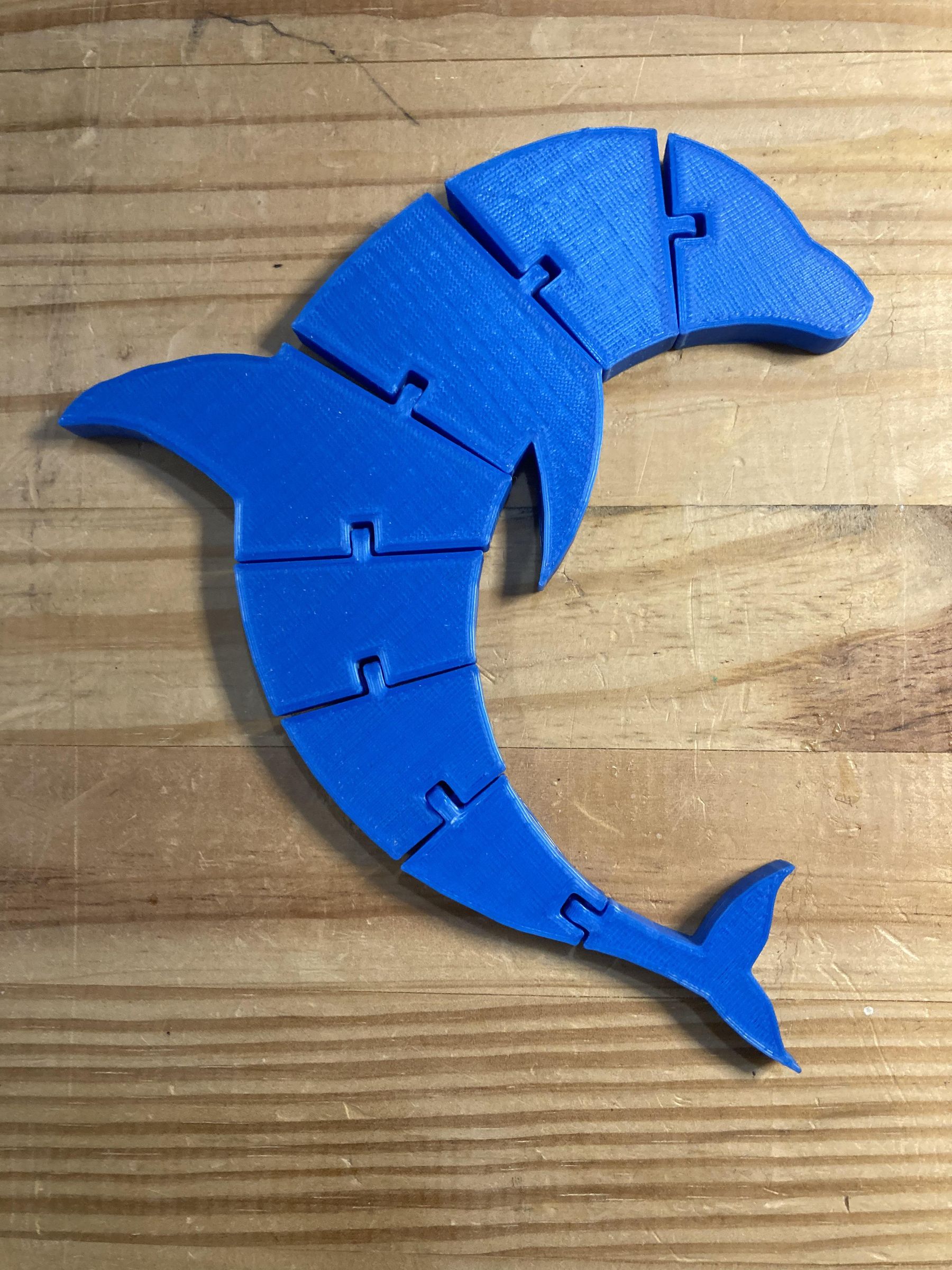 Articulated Turtle Fidget Toy : 9 Steps (with Pictures) - Instructables