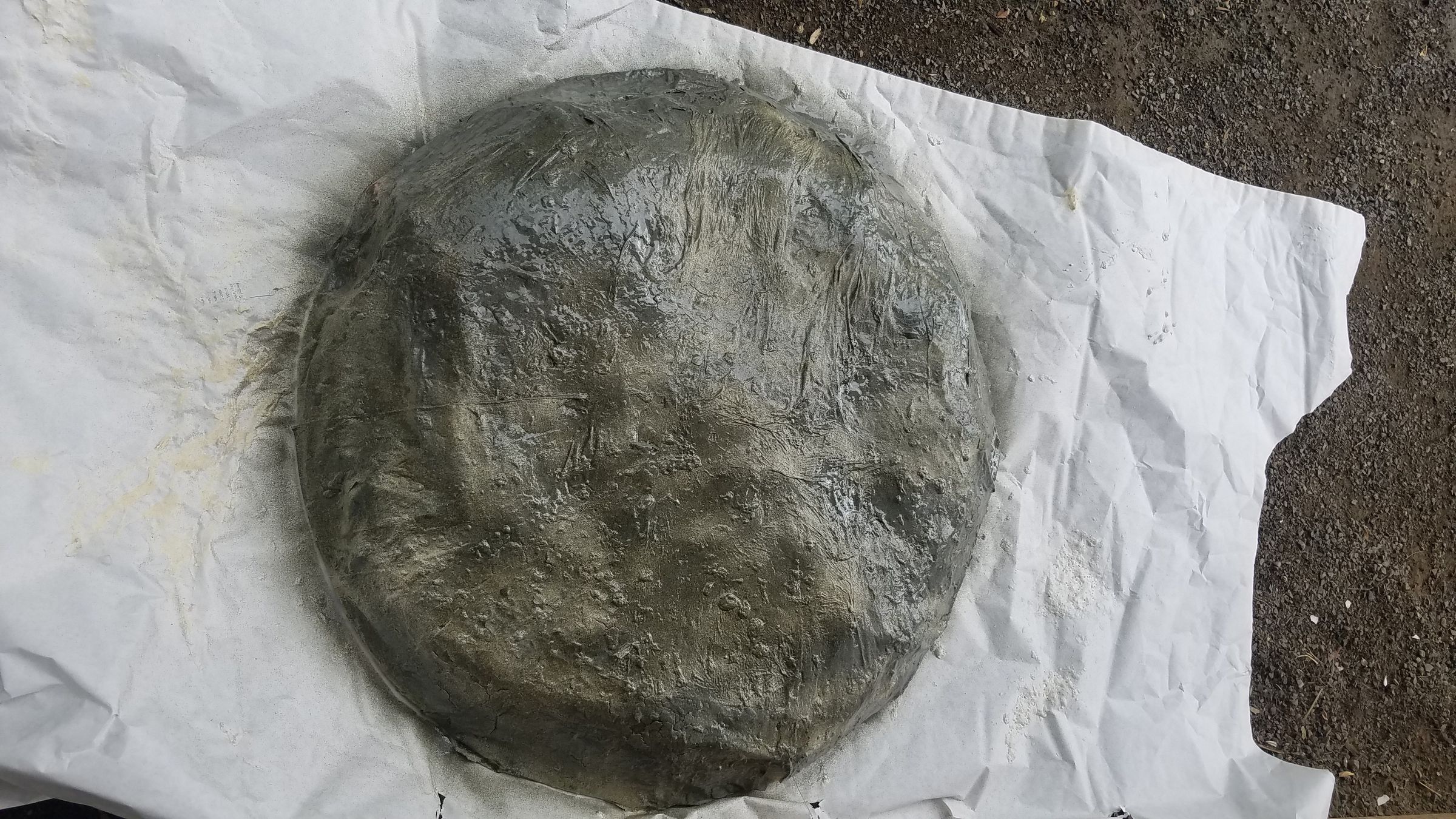 How to Make a Paper Mache Moon Wall Hanging : 9 Steps (with Pictures ...