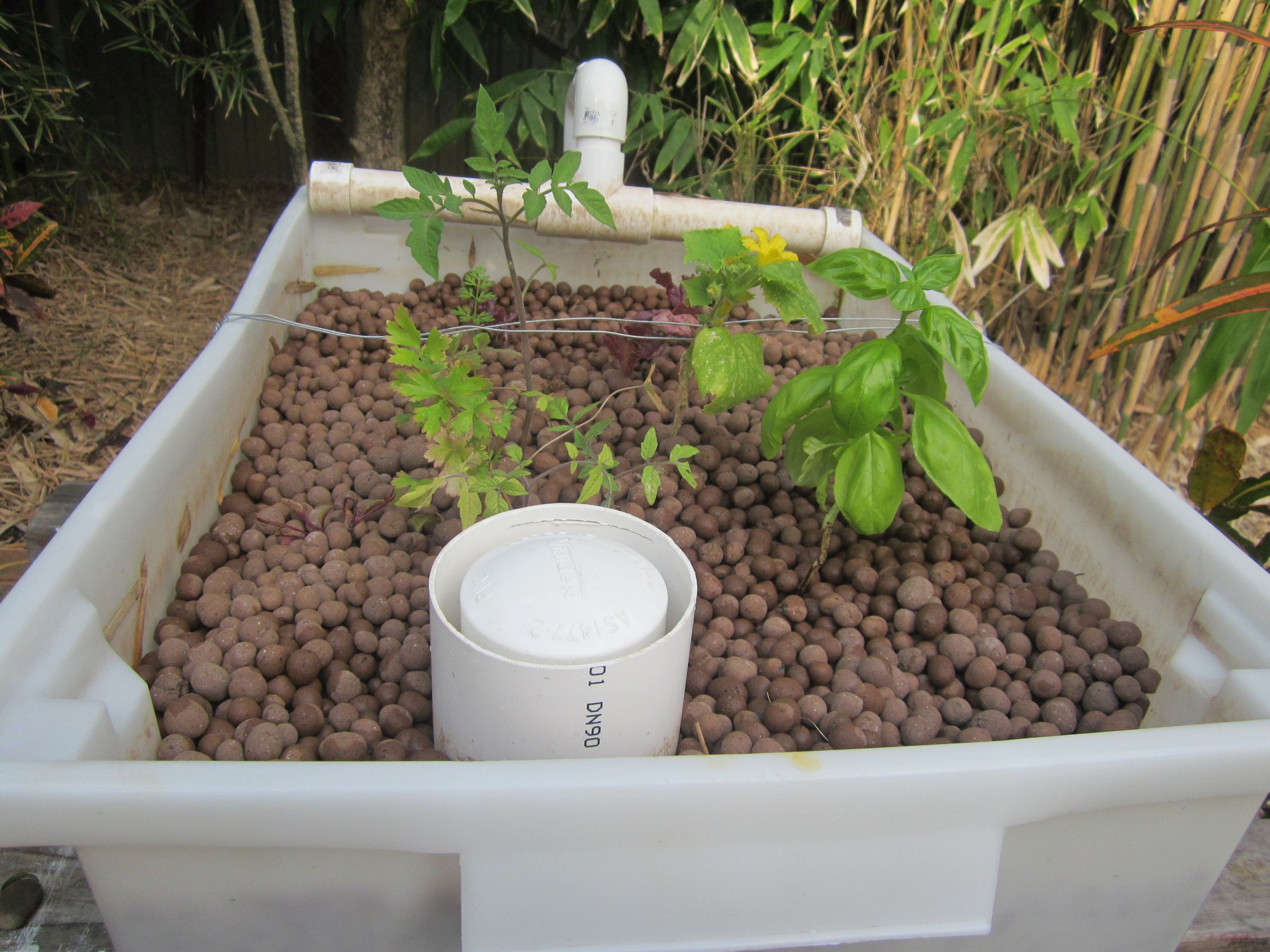 Simple Arduino Controlled Aquaponic System : 8 Steps - Instructables