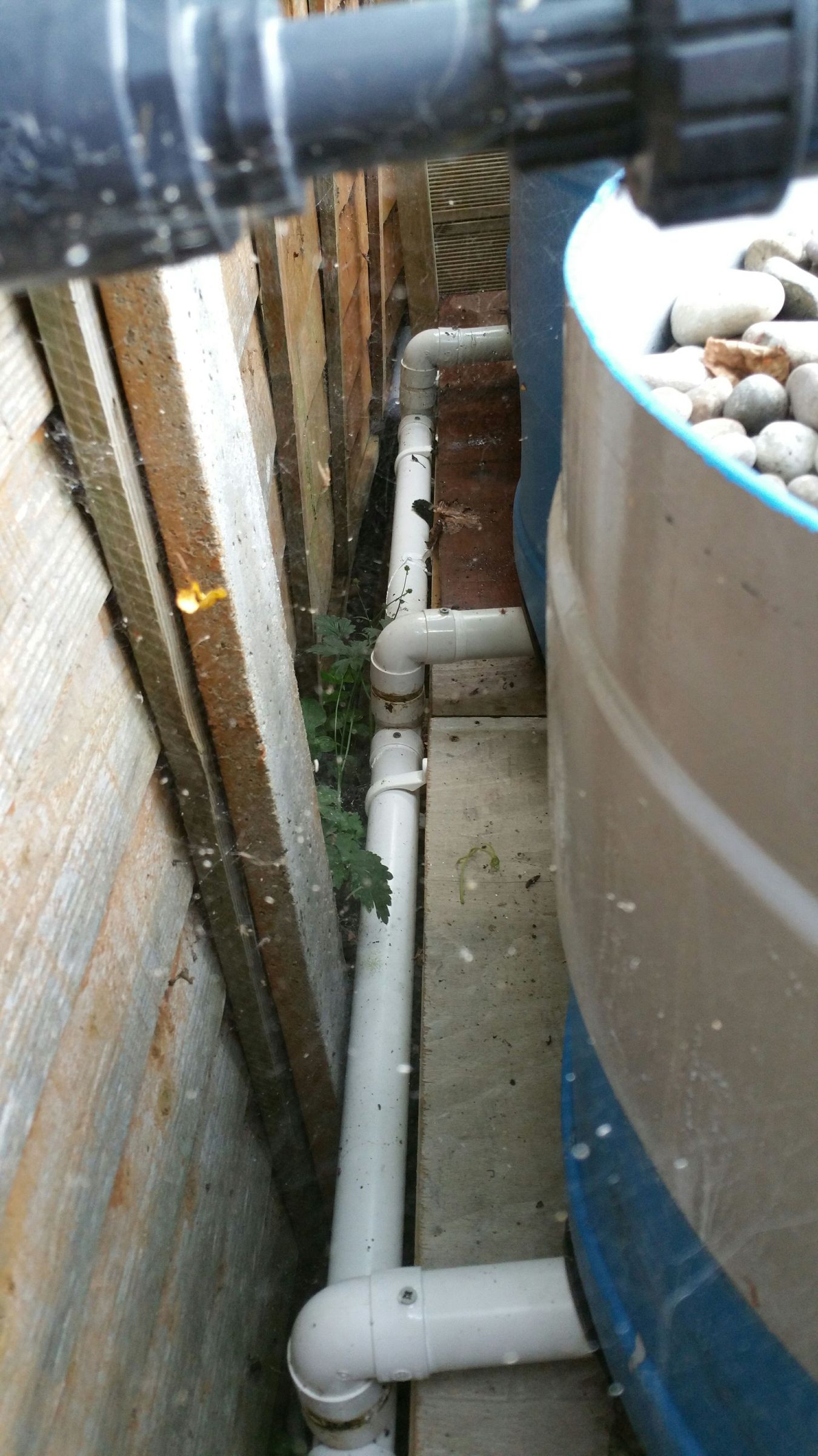 Fruit Trees in Aquaponics Using Dutch Buckets : 6 Steps (with Pictures ...