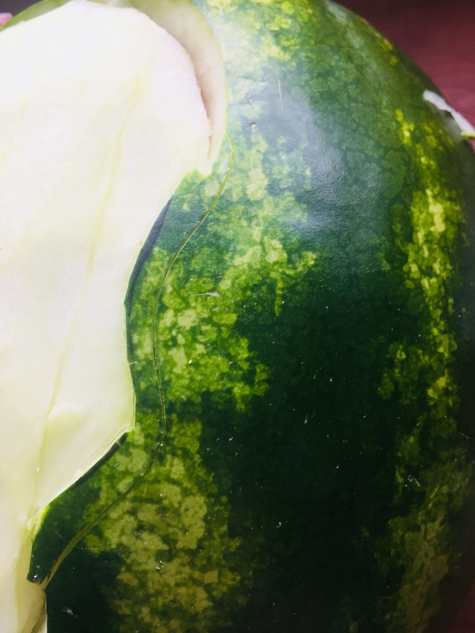 Skull & Crossbones Watermelon Carving : 14 Steps (with Pictures ...