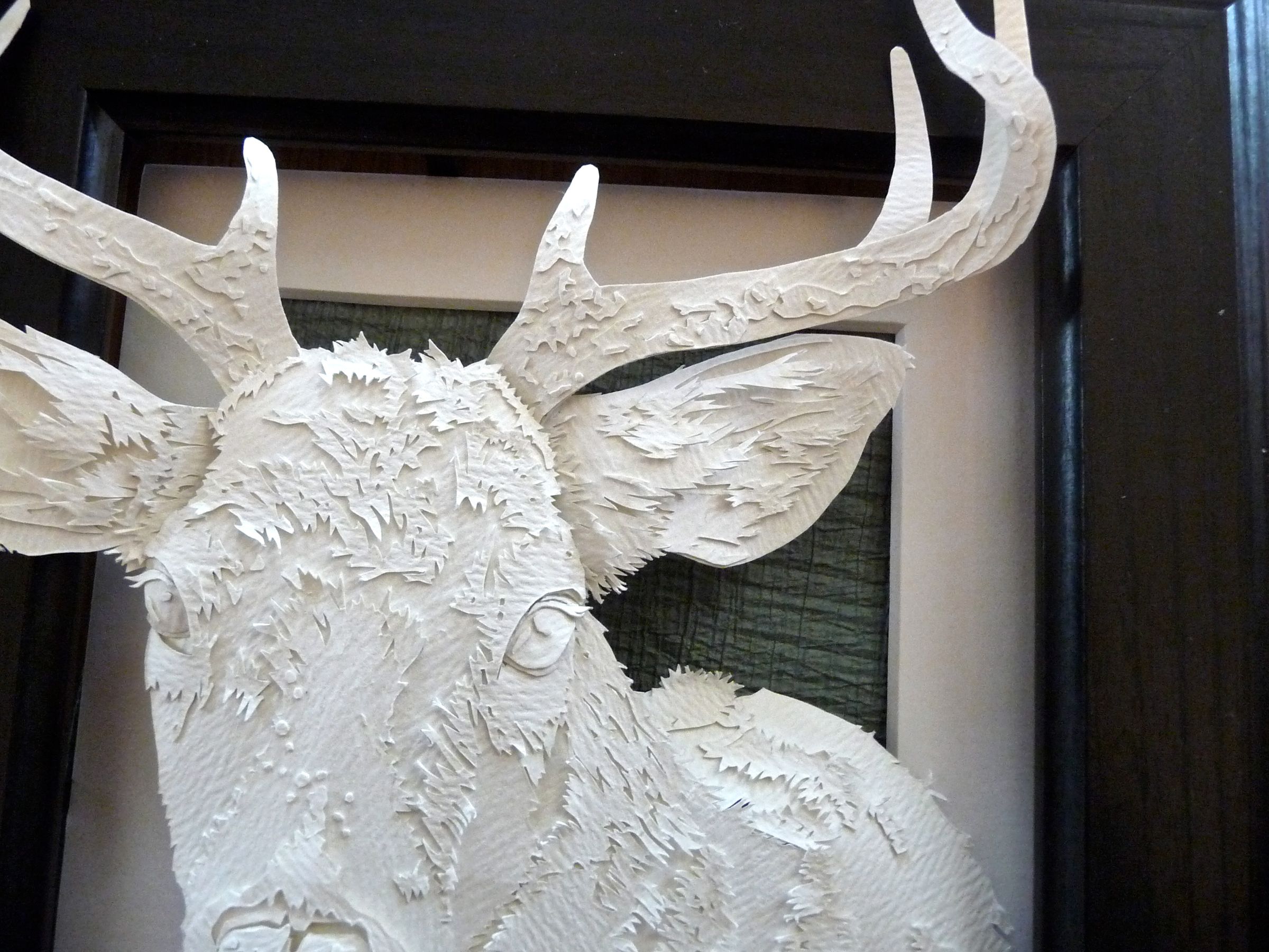 3D Layered Paper : 5 Steps (with Pictures) - Instructables