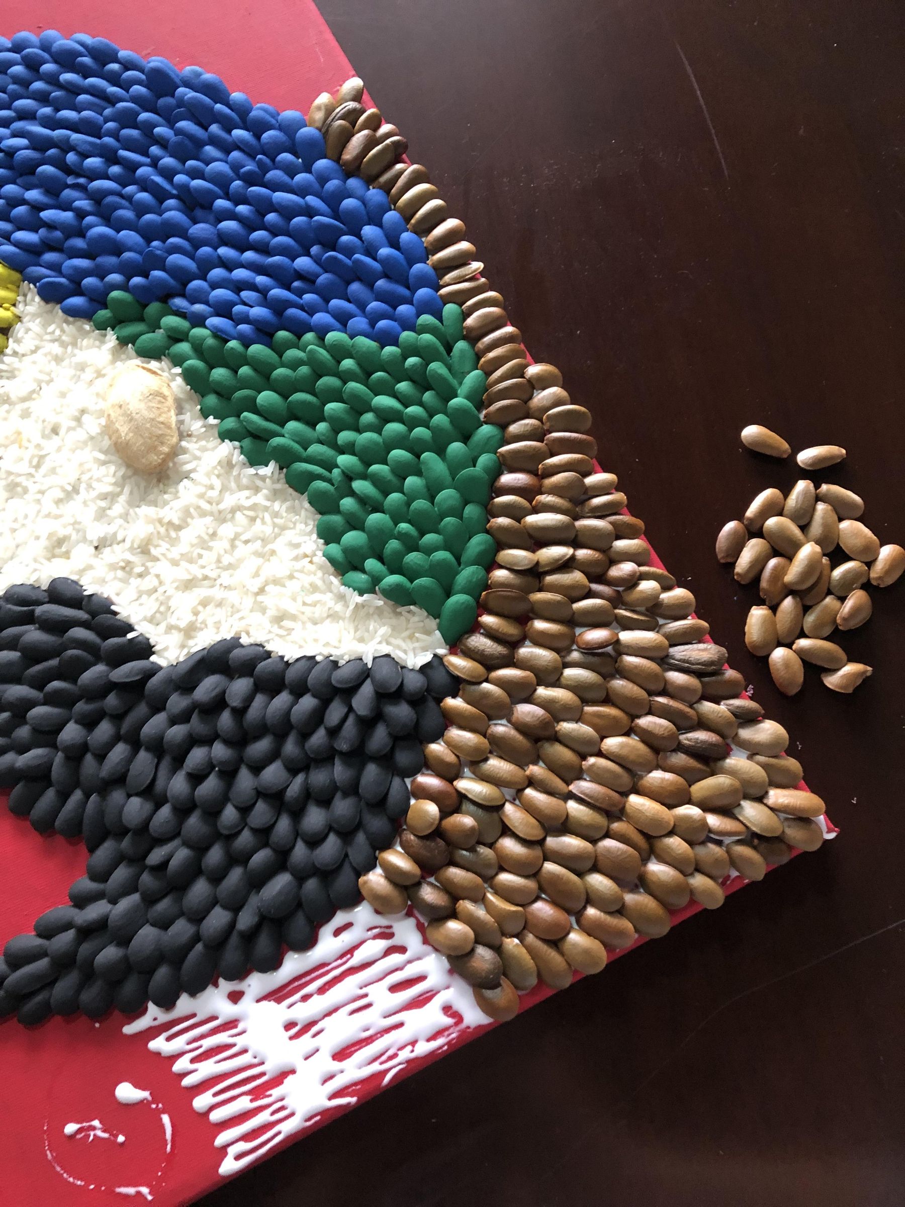 Macaw With Soursop Seeds, Rice and Mango. : 12 Steps (with Pictures ...