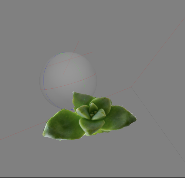 Succulent Photogrammetry + 3D Printing : 7 Steps - Instructables