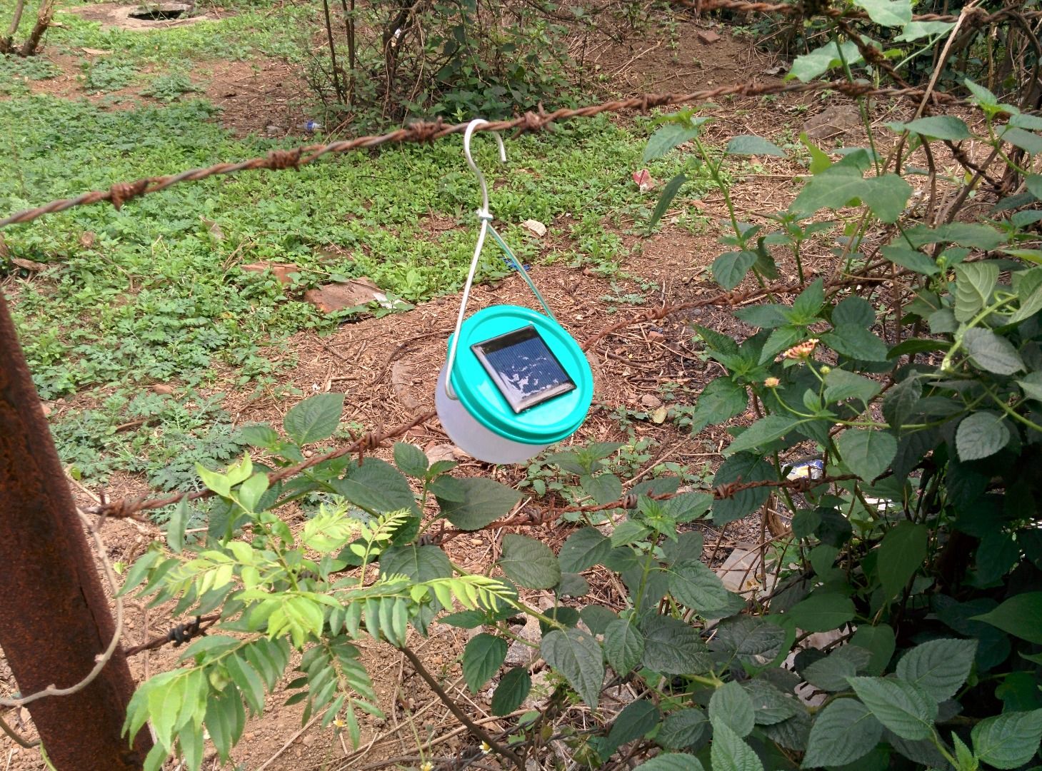 BUILD a NOCTURNAL SOLAR LIGHT BULB : 17 Steps (with Pictures ...