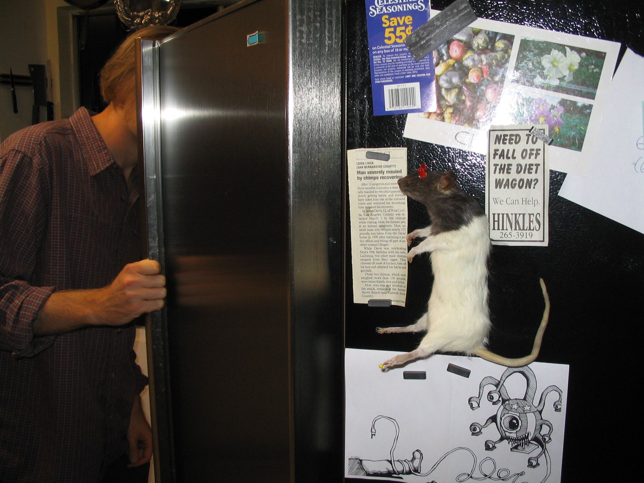 LED Throwie Rat (or Mouse) : 8 Steps (with Pictures) - Instructables