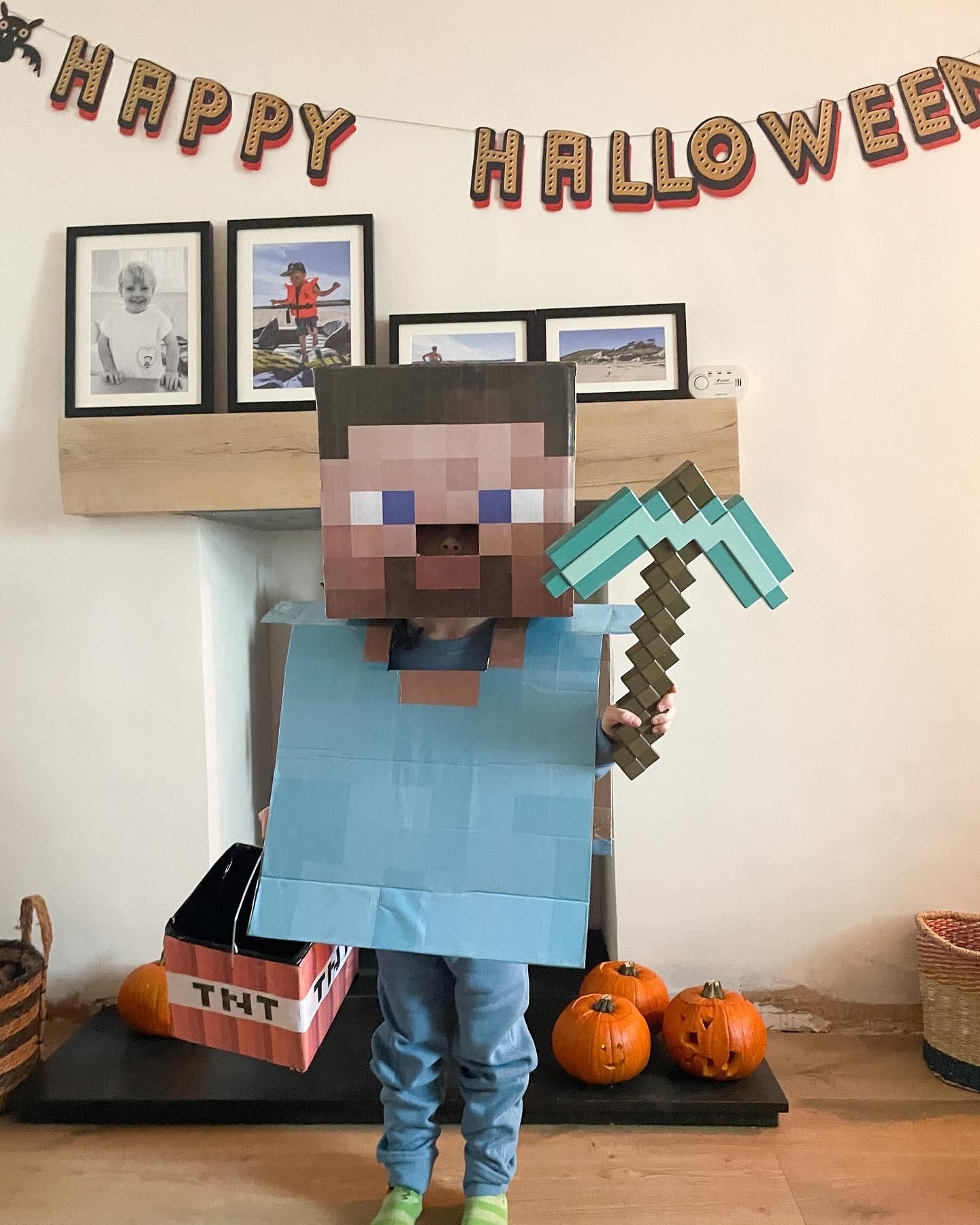 Minecraft Steve Costume : 6 Steps (with Pictures) - Instructables