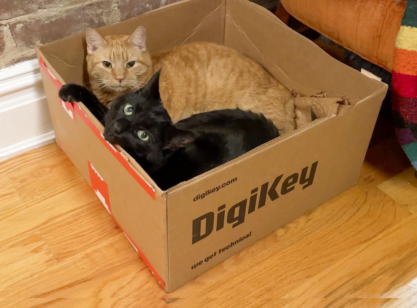 Raspberry Pi Cat TV : 5 Steps (with Pictures) - Instructables