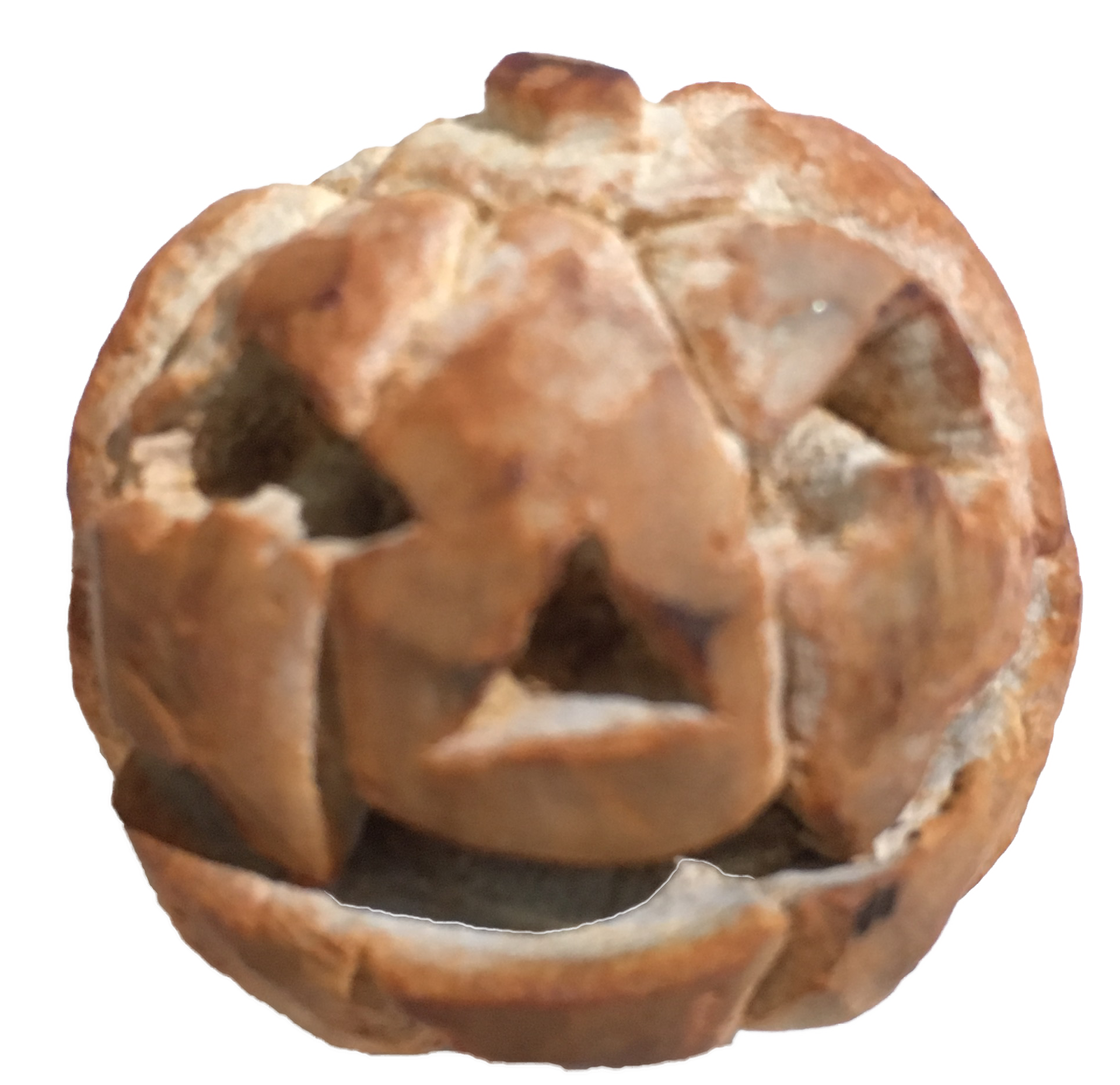 How to Carve Avocado Pits : 4 Steps (with Pictures) - Instructables