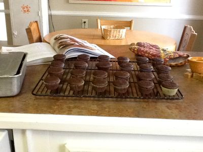 Cockroach Cupcakes (with Pictures) - Instructables