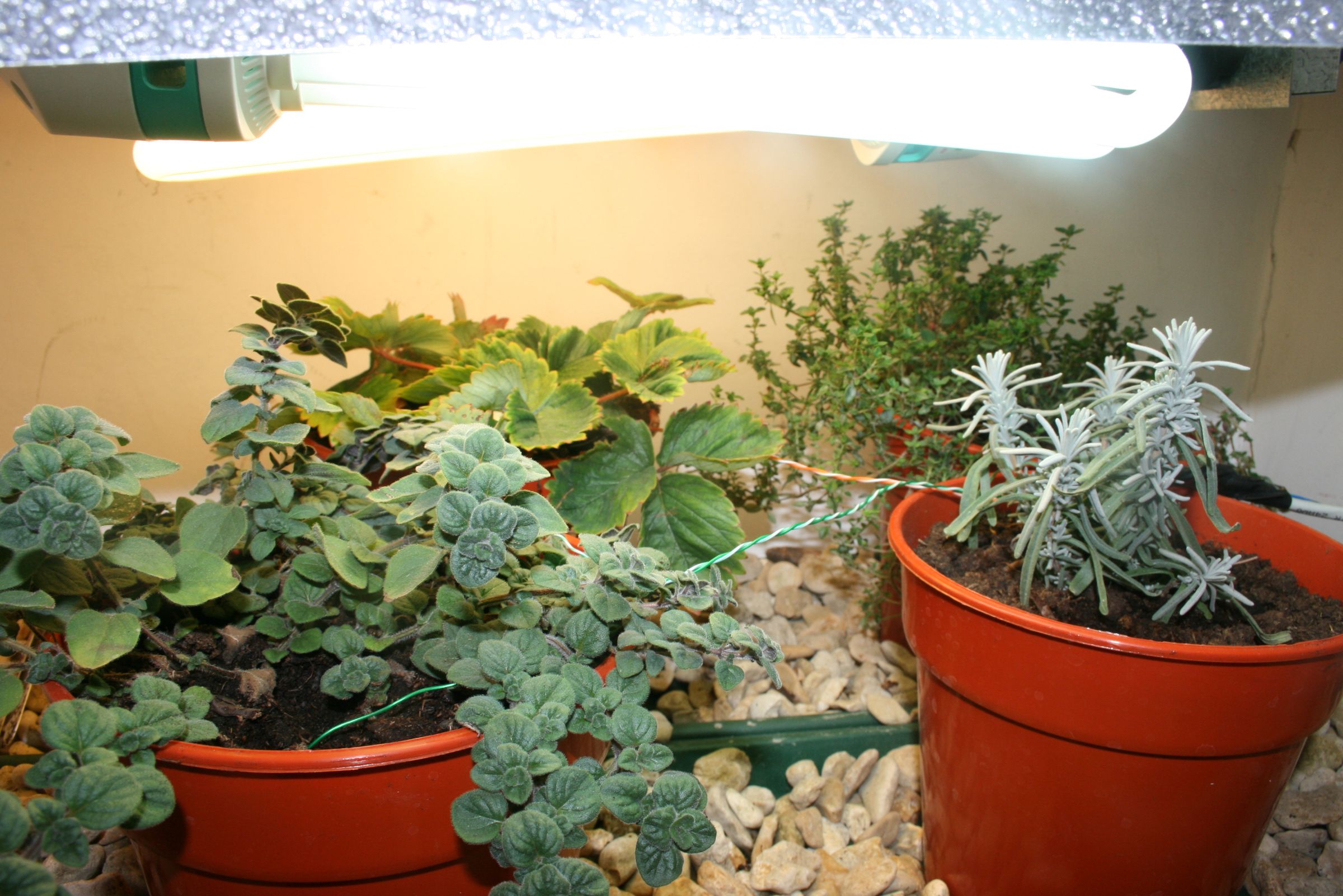 Indoor Grow Space Automation Part 1 : 9 Steps (with Pictures ...