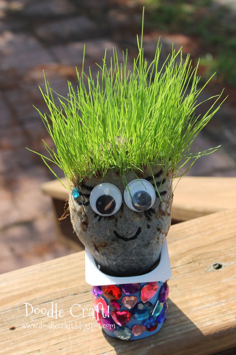 Haircut Chia Pet Grass Heads! Great for Summer Break! : 5 Steps (with ...