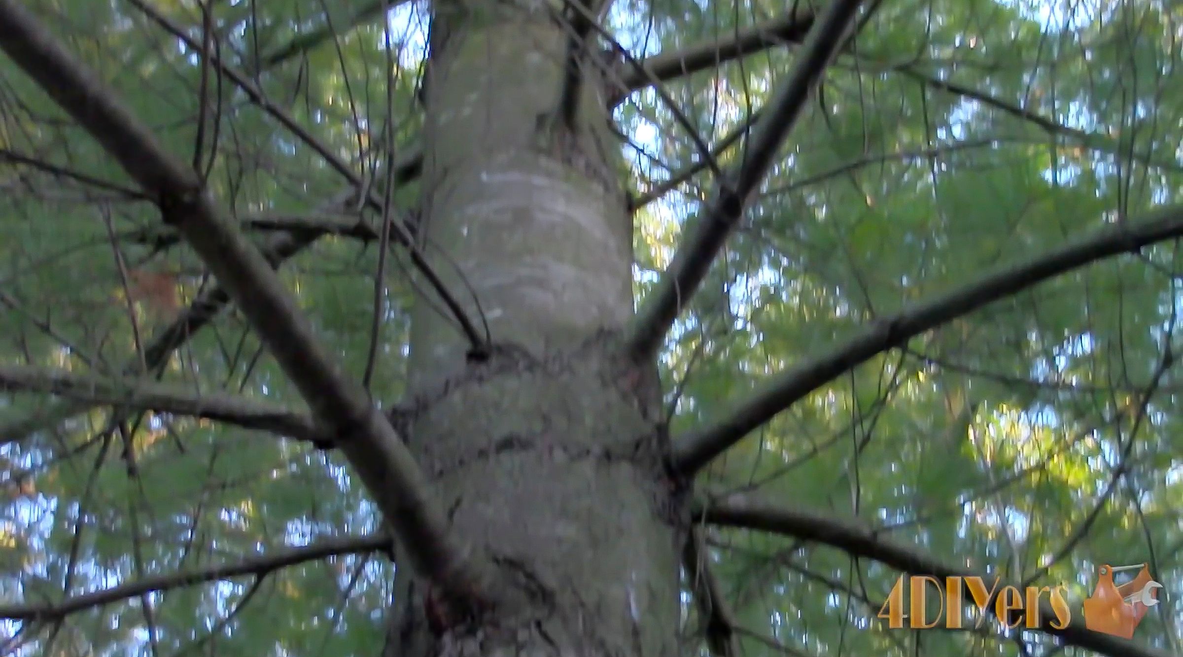 10 Things That Can Damage Paint : 10 Steps (with Pictures) - Instructables