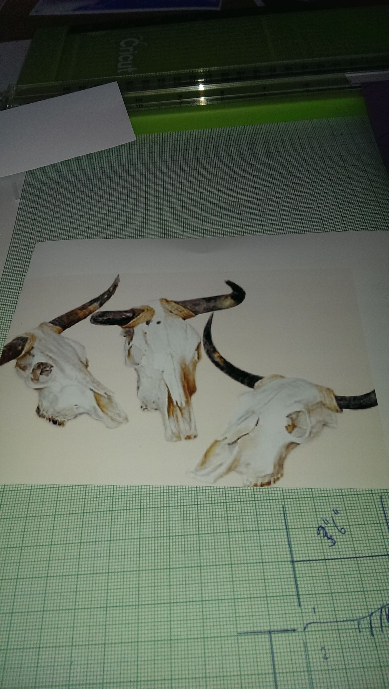 Cow Skull : 10 Steps - Instructables
