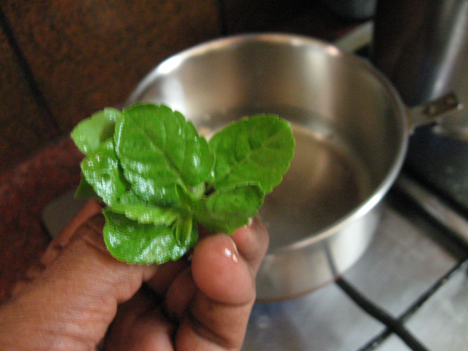 How to Prepare Green Tea : 5 Steps (with Pictures) - Instructables