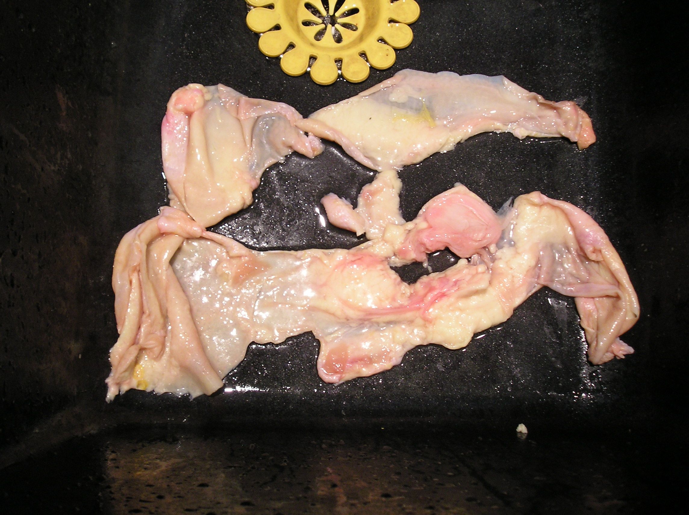 Easy Way to Skin a Chicken! : 5 Steps - Instructables