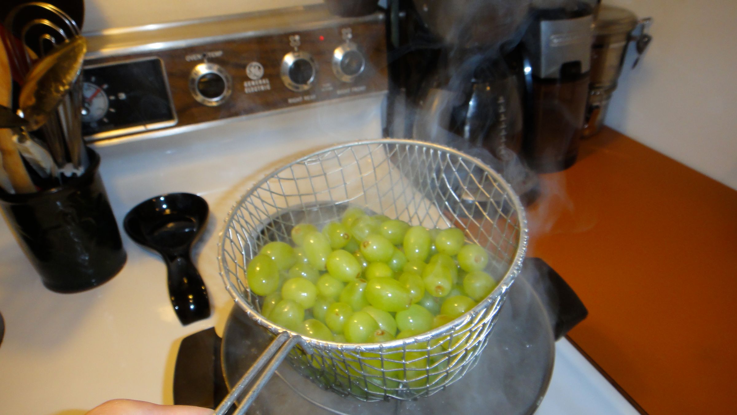 Make Raisins With a Dehydrator : 4 Steps (with Pictures) - Instructables