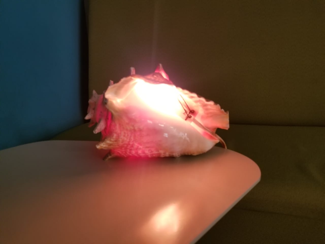 Simple Conch Shell Ambient Light : 6 Steps - Instructables