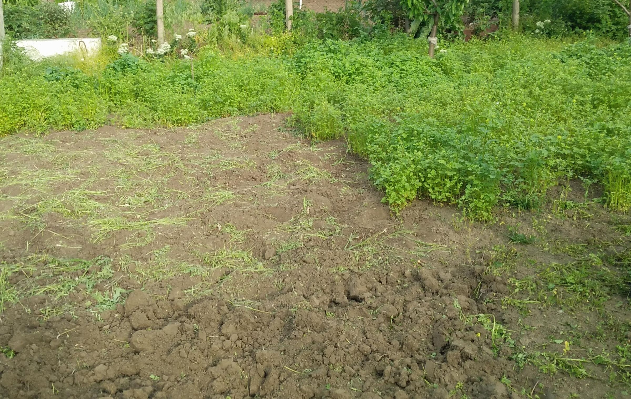 DIY Powerful Lawn Trimmer From an Angle Grinder : 11 Steps (with ...