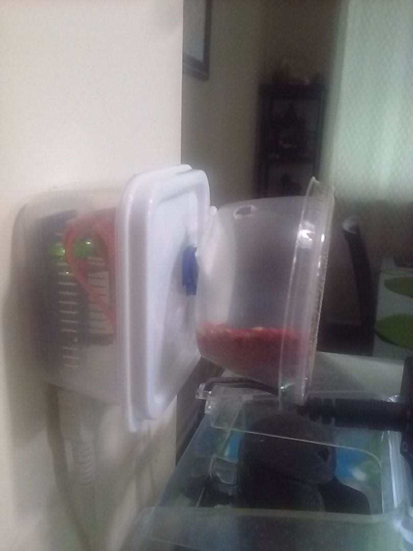 Arduino Fish Feeder : 5 Steps - Instructables