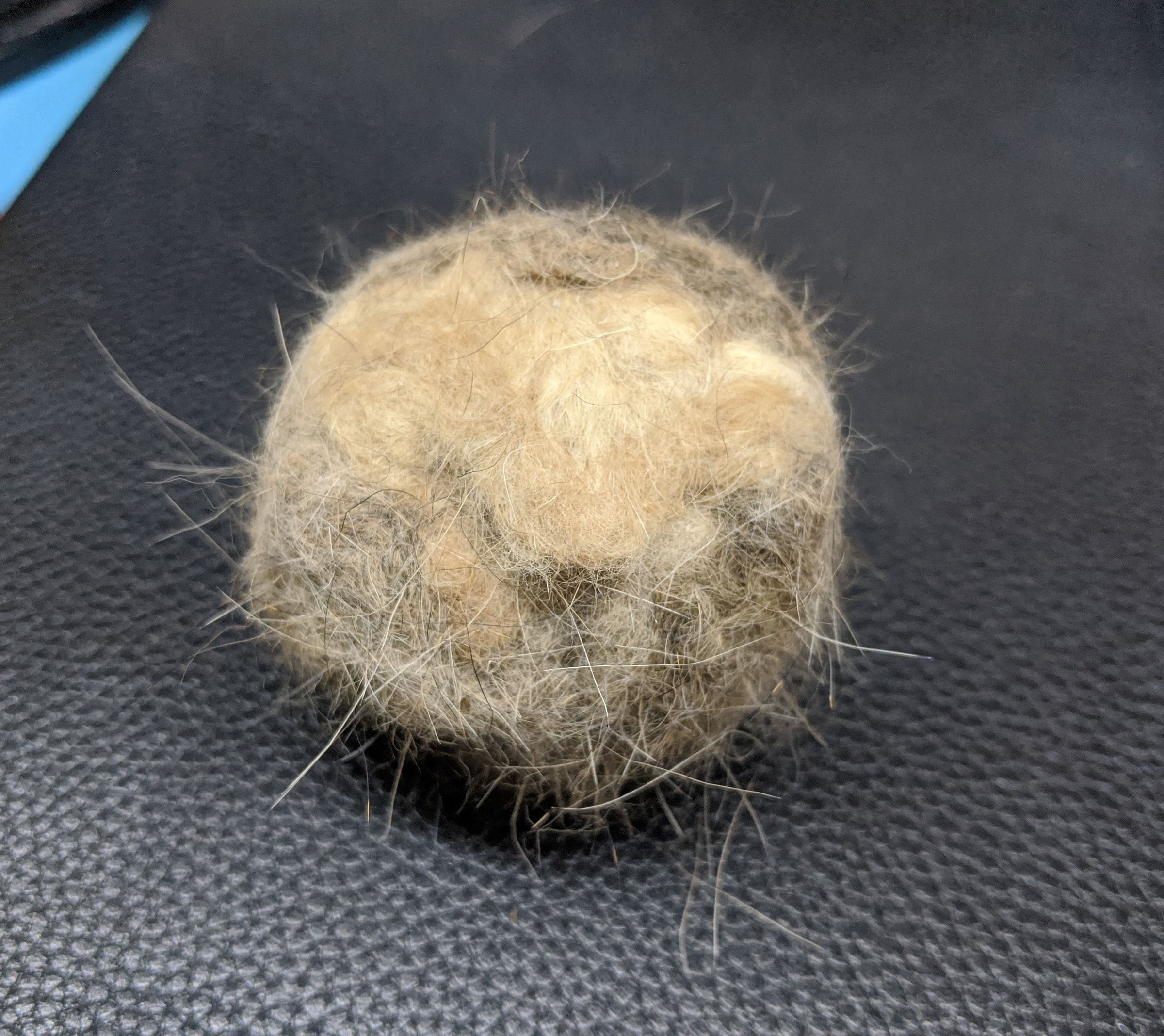 Felted Cat Fur Cat Hat : 3 Steps (with Pictures) - Instructables