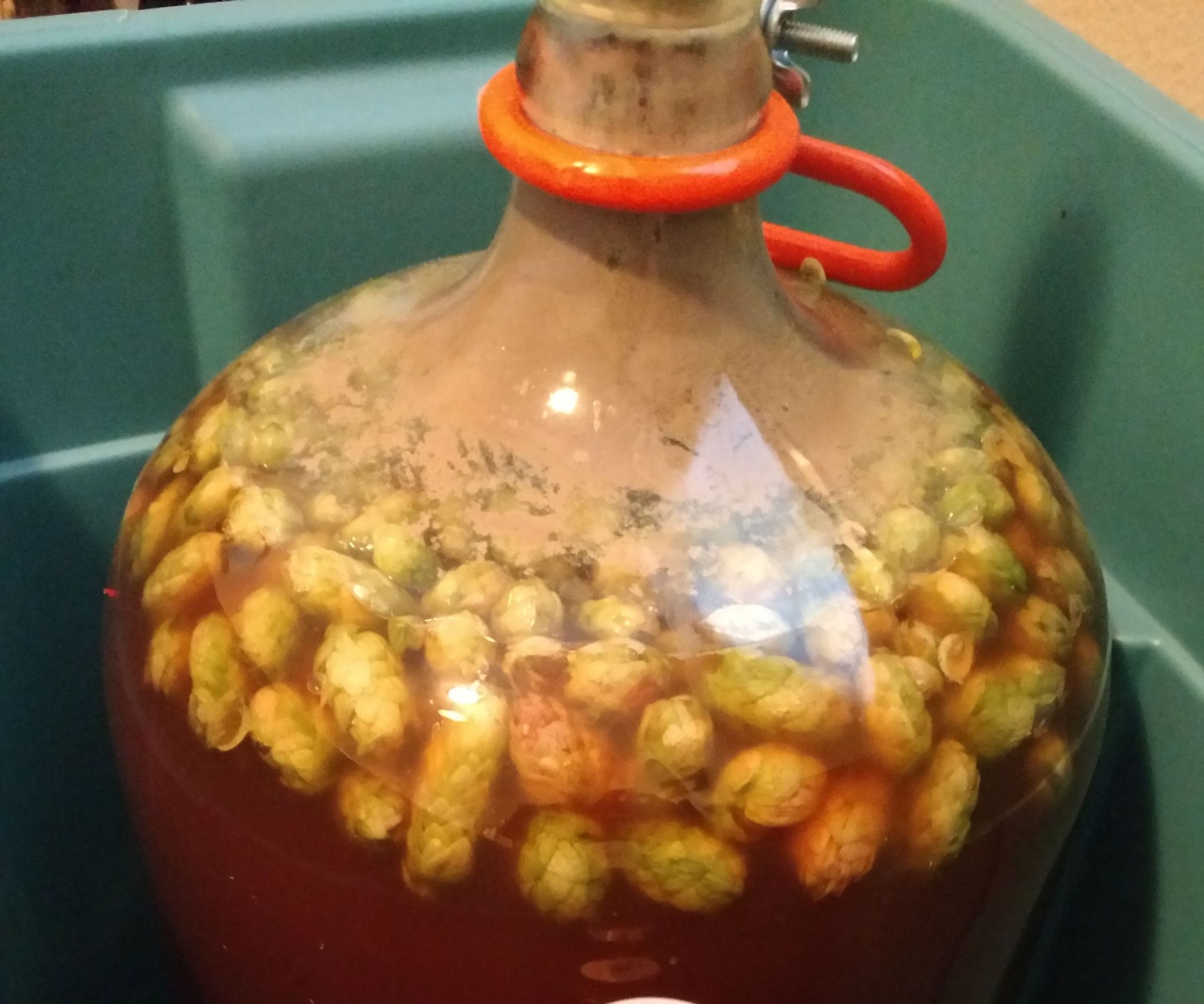 Fresh Hop "Dry Hopping" Your Homebrew : 4 Steps (with Pictures ...