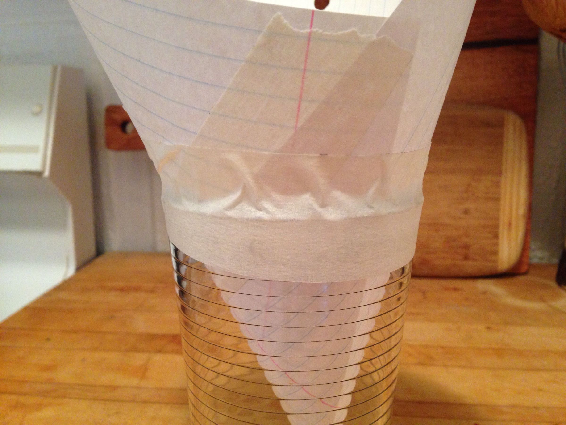 Easy Kitchen Gnat Trap : 5 Steps - Instructables