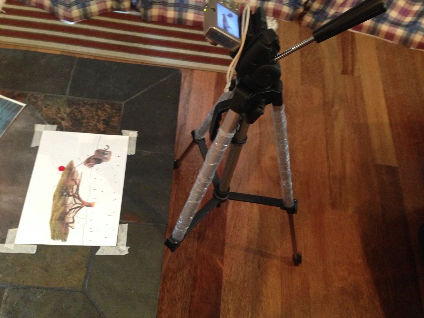 Make a Stop Motion Animation - for Beginners : 9 Steps - Instructables