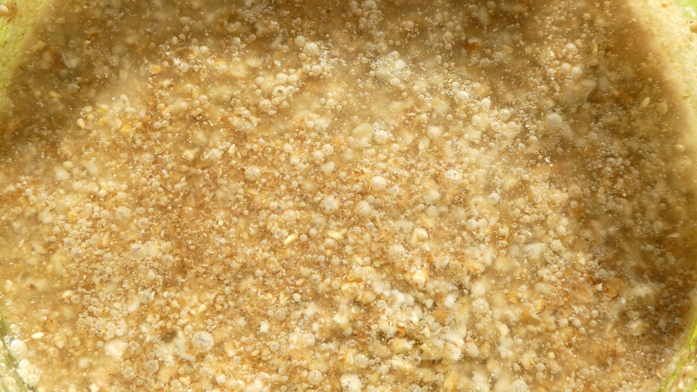 Pure Rye Bread : 31 Steps (with Pictures) - Instructables