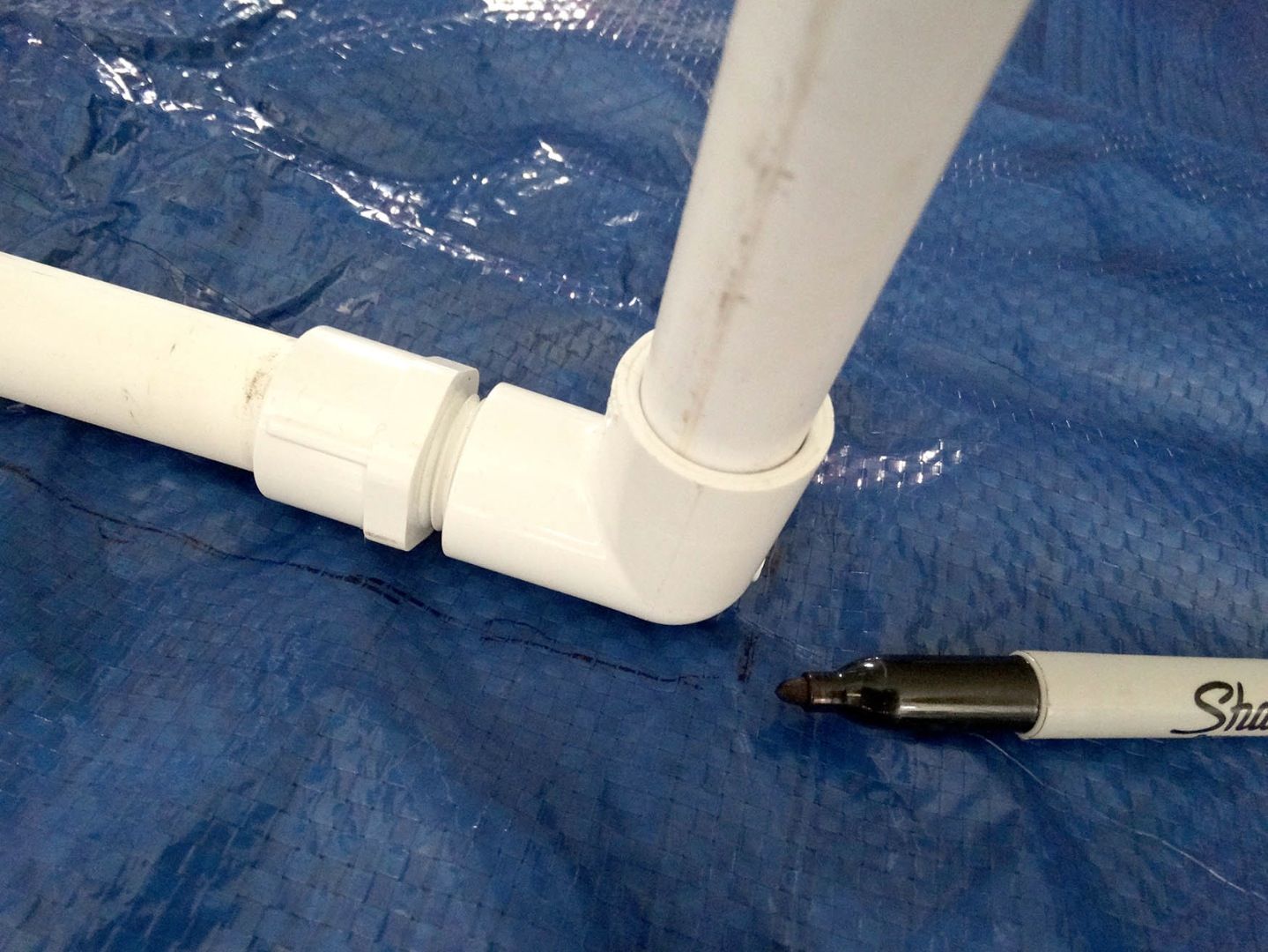 Raising Giant Silk Moths : 15 Steps (with Pictures) - Instructables