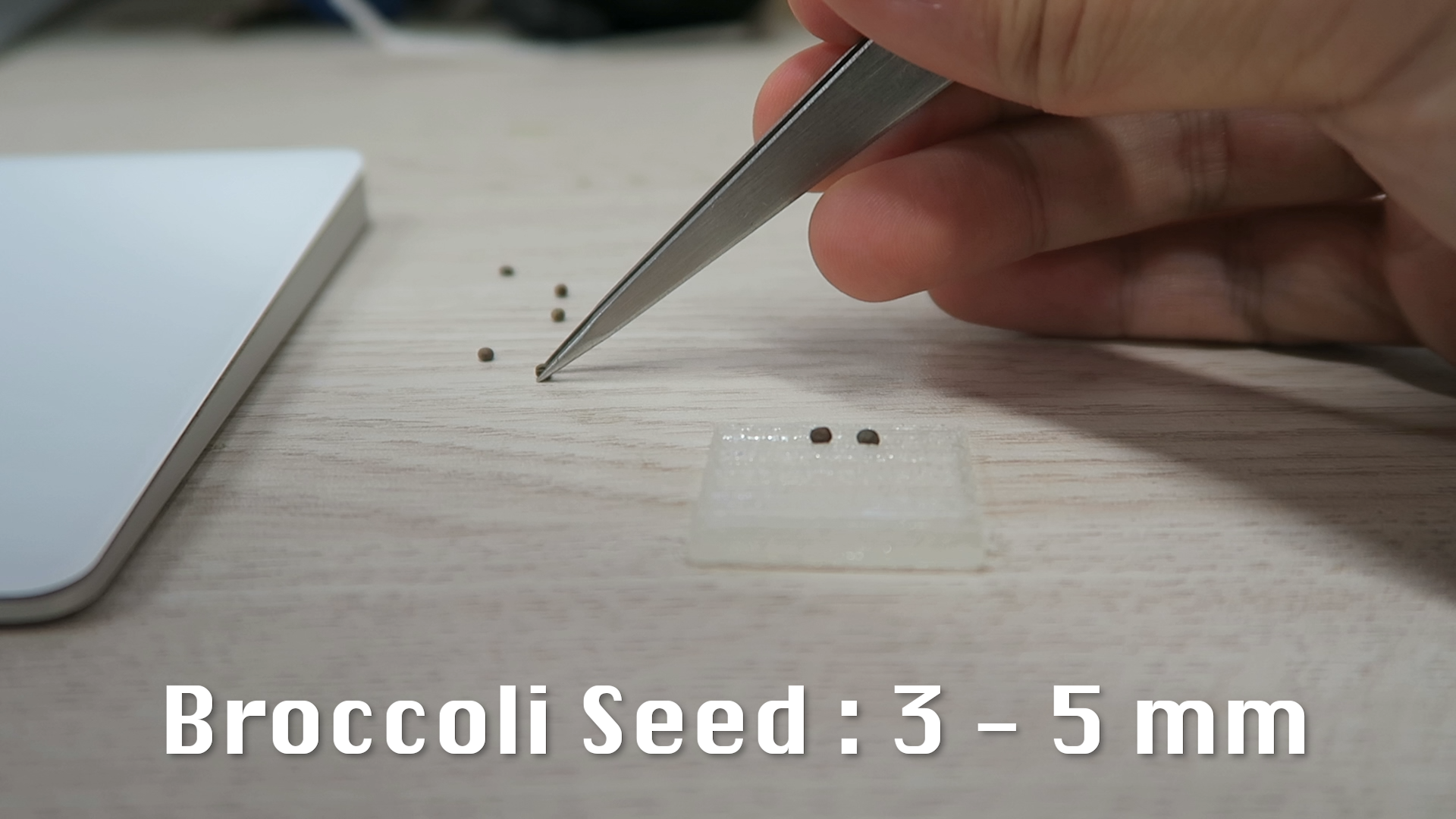 Germinate Seeds With a 3D Printed Container : 6 Steps (with Pictures ...