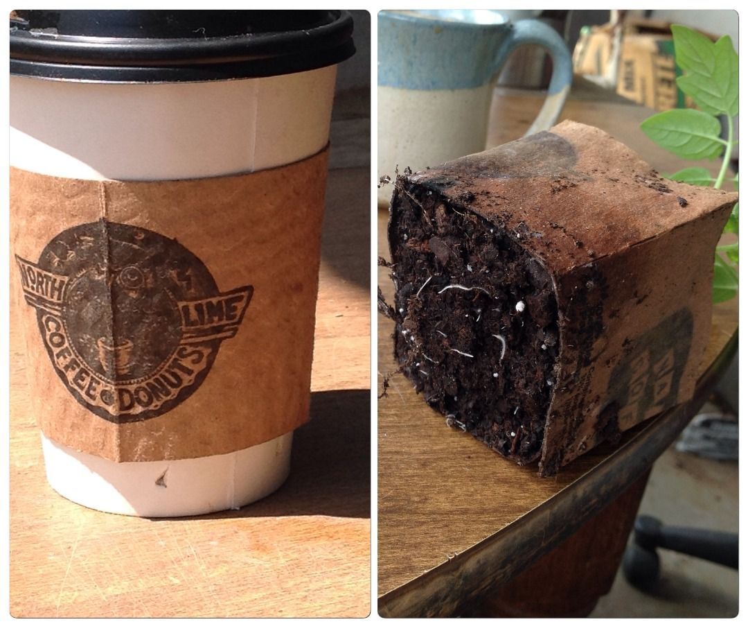 Coffee Sleeve Bio Degradable Starter Pots : 6 Steps (with Pictures ...